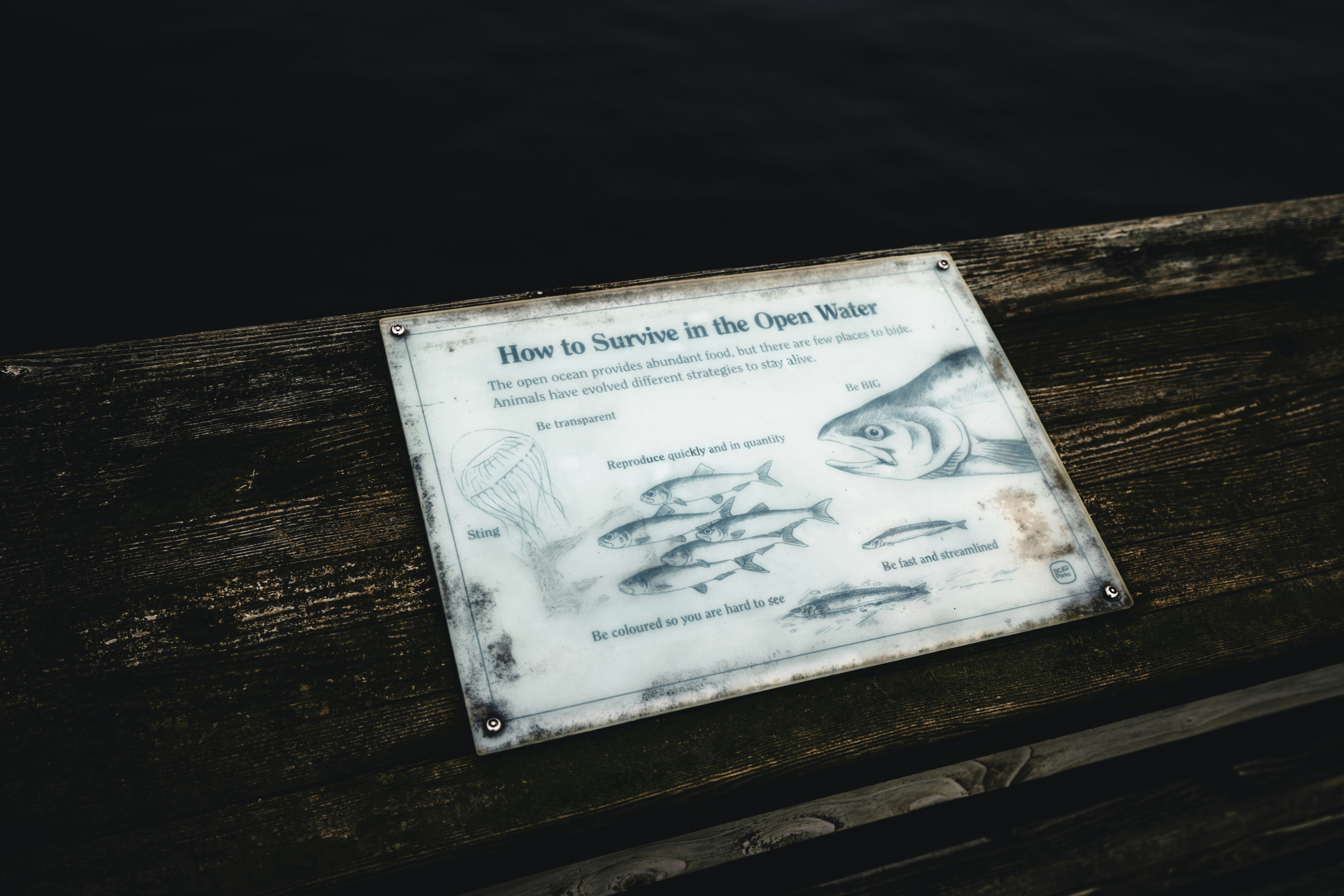 Open-Water Survival Tips: Weathered Pier Plaque