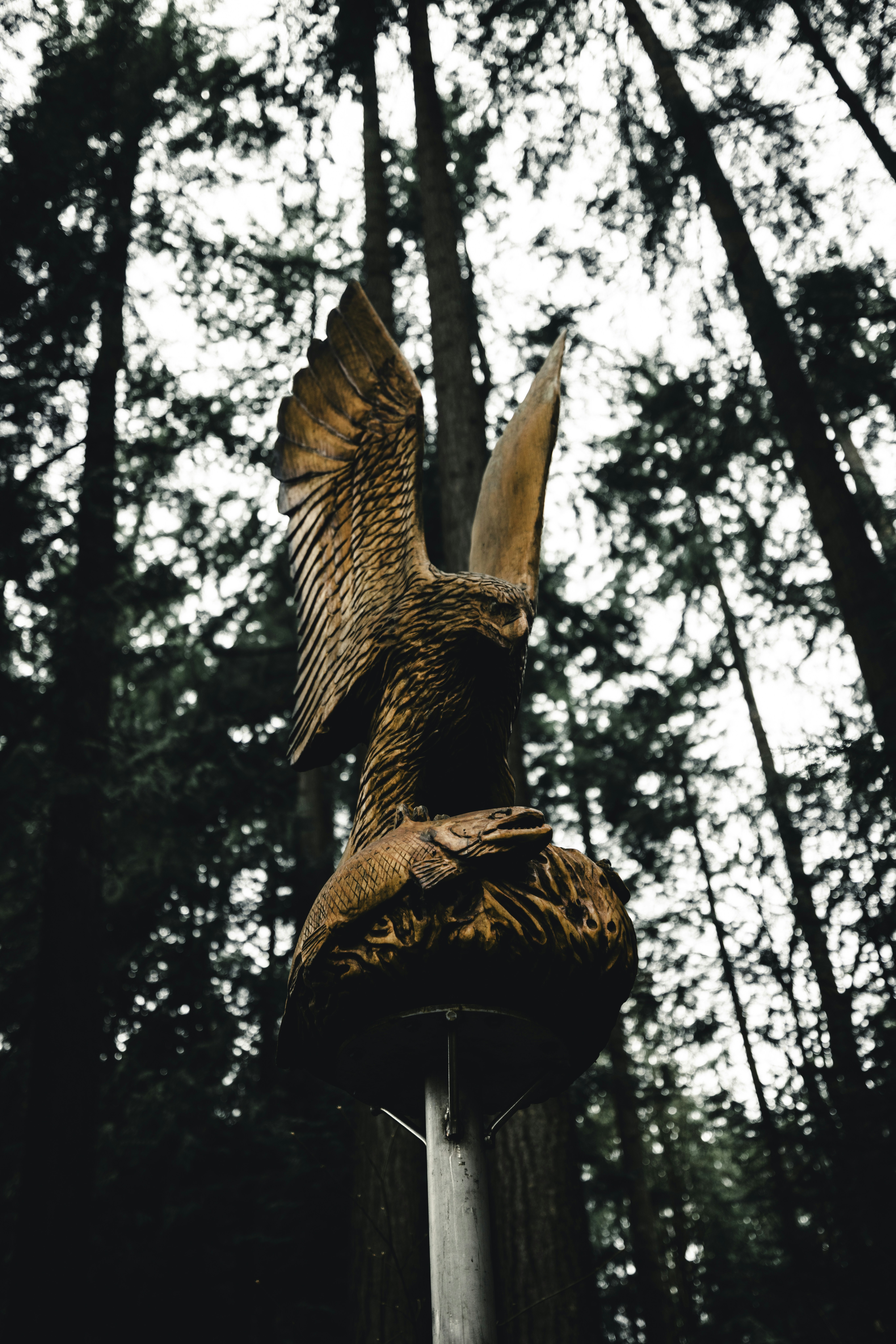 Winged Sentinel: Carved eagle atop a weathered post in a shadowy pine forest