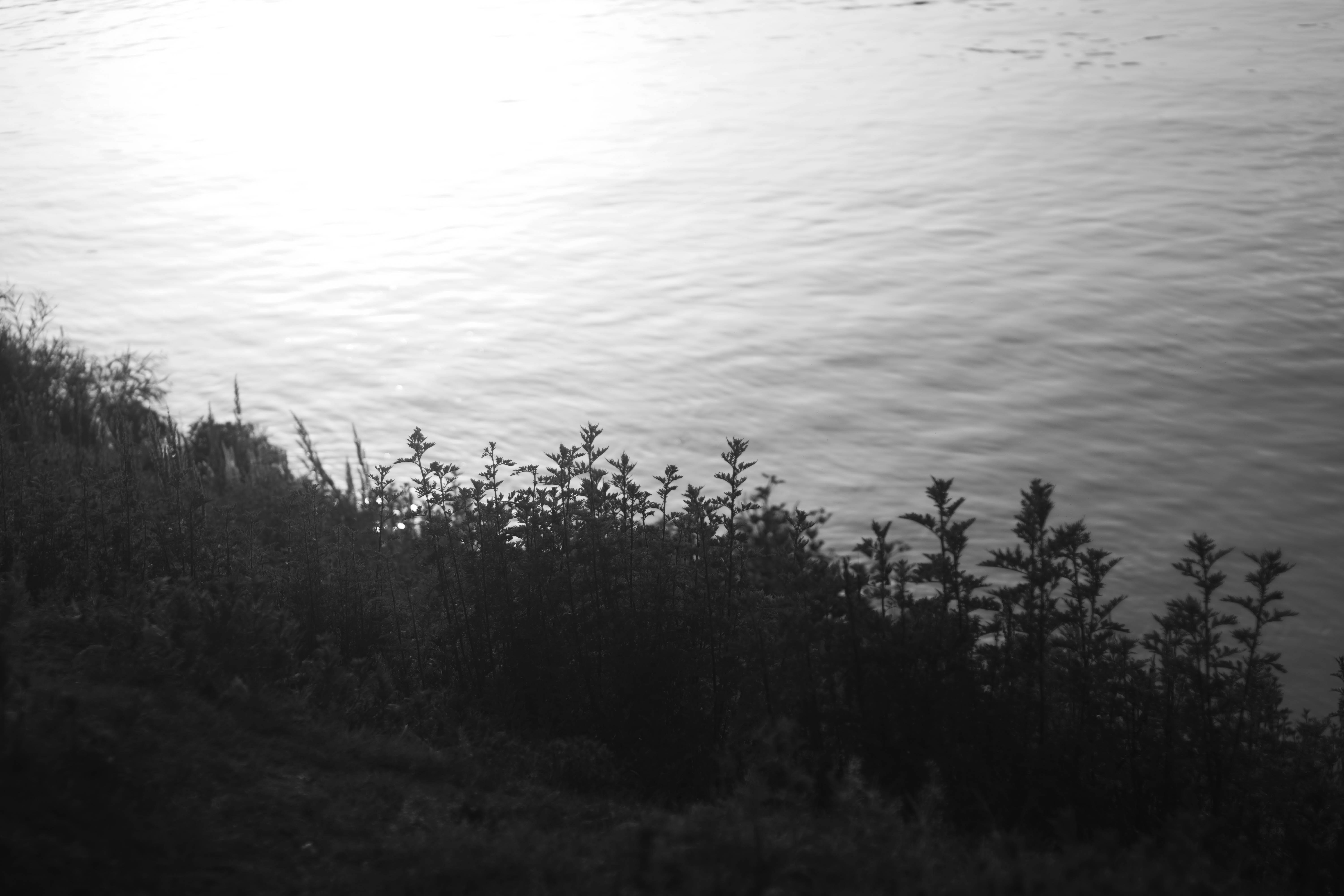 a black and white photo of a body of water