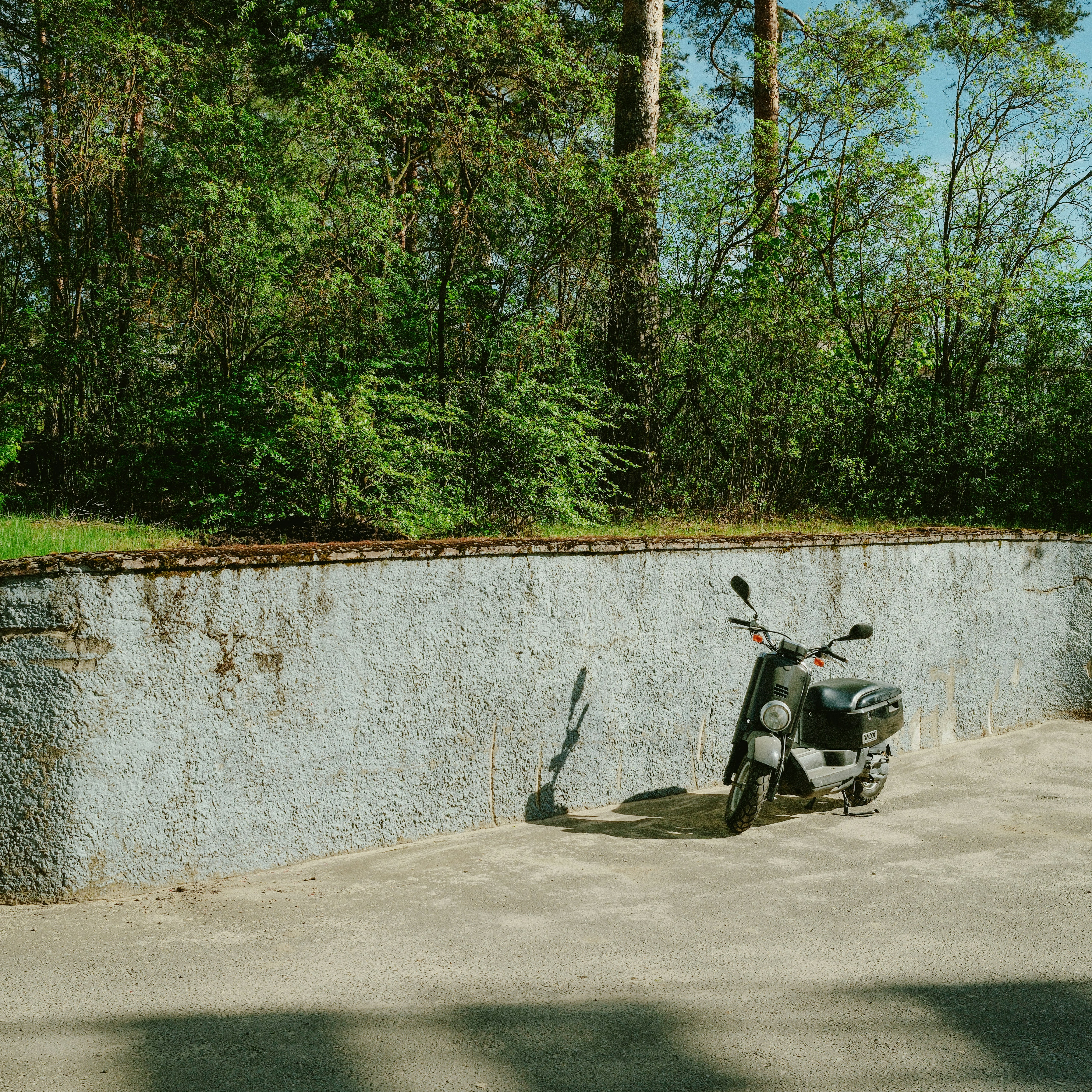 Solitary Scooter Resting by a Weathered Wall Under a Canopy of Green