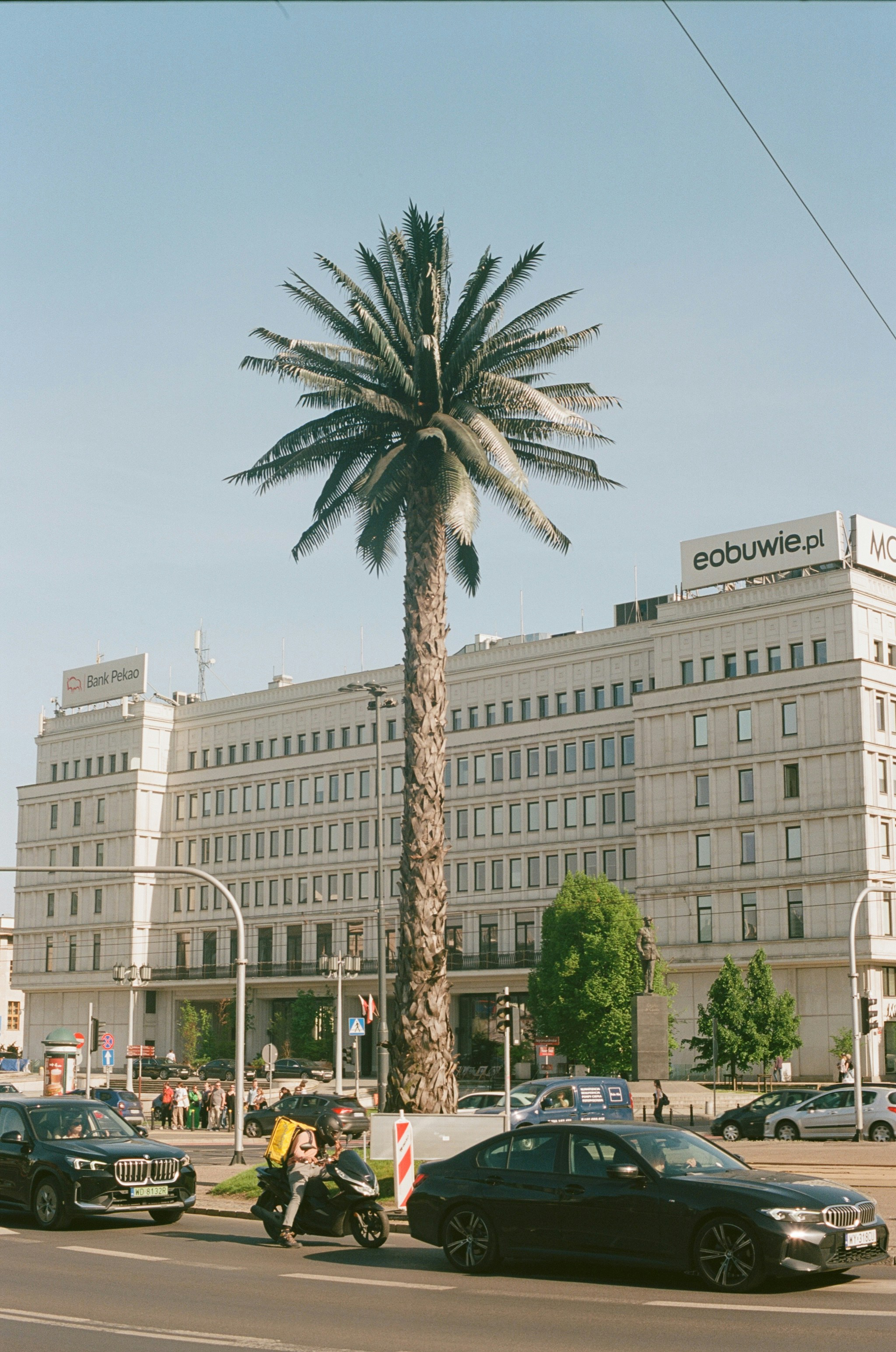 A tall palm tree sitting next to a tall building photo – Free Warsaw ...