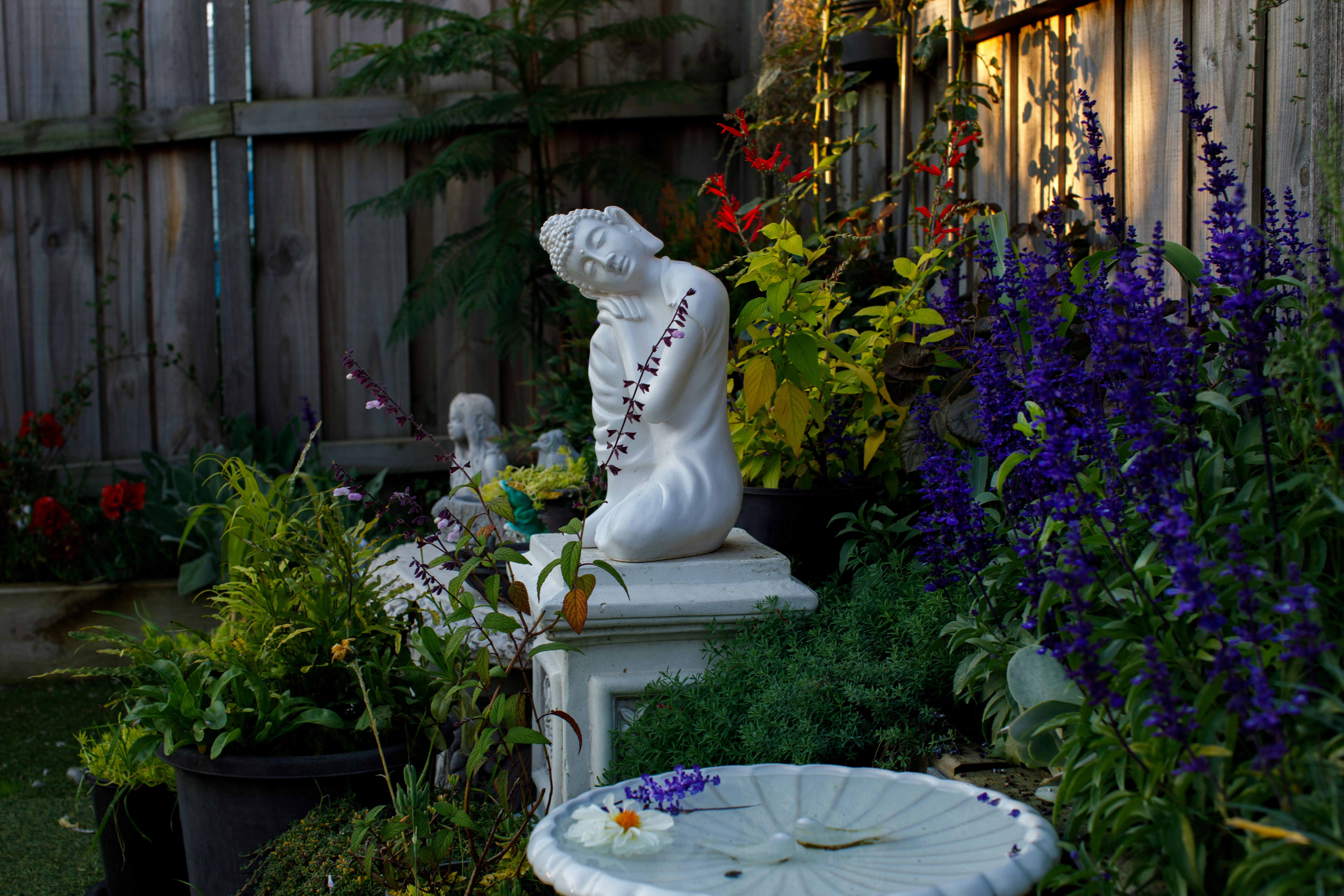 Evening Solace: A Statue Framed by Night-Blooming Garden
