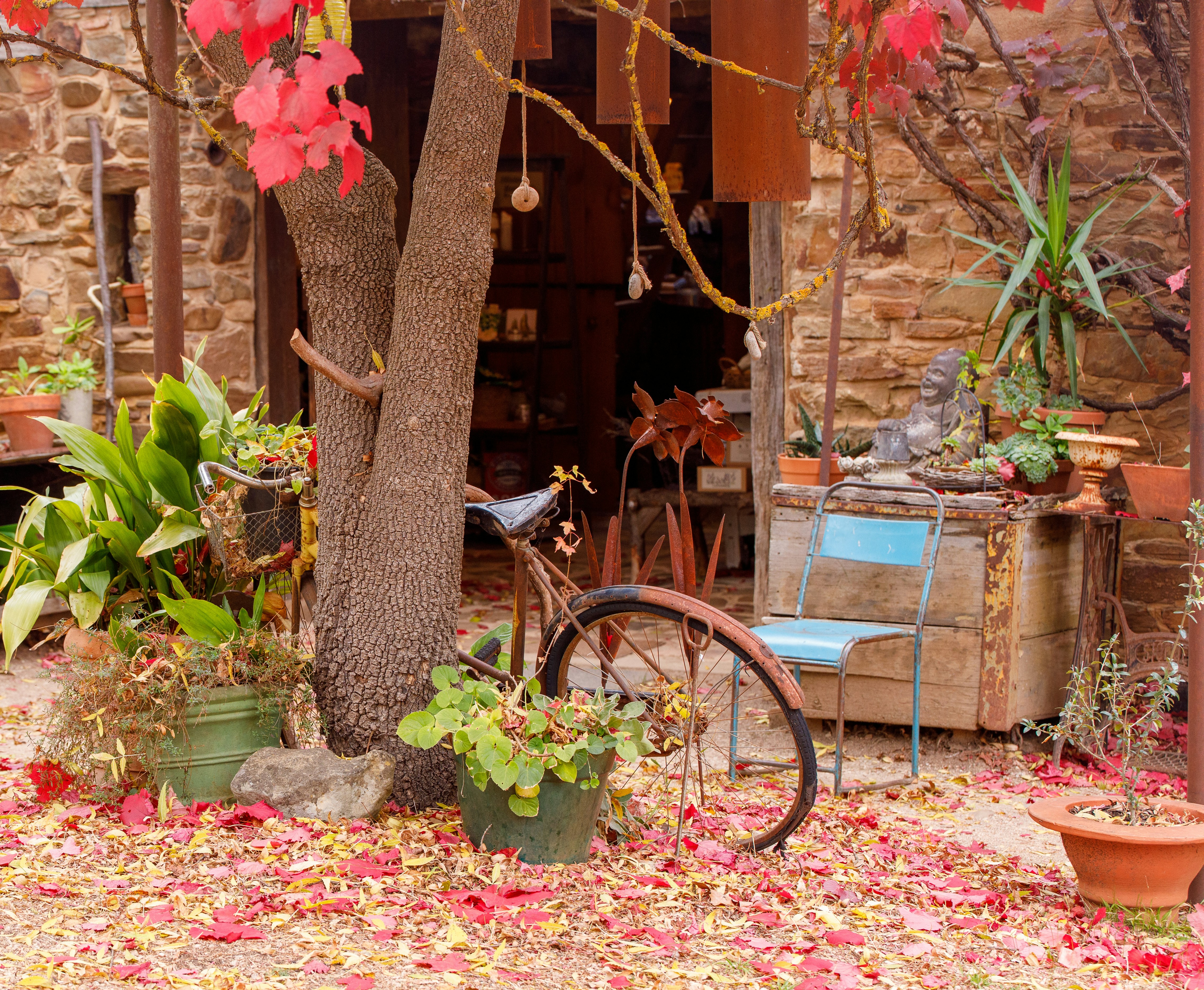 Autumn Courtyard Still Life: Chair, Wheel, and Foliage