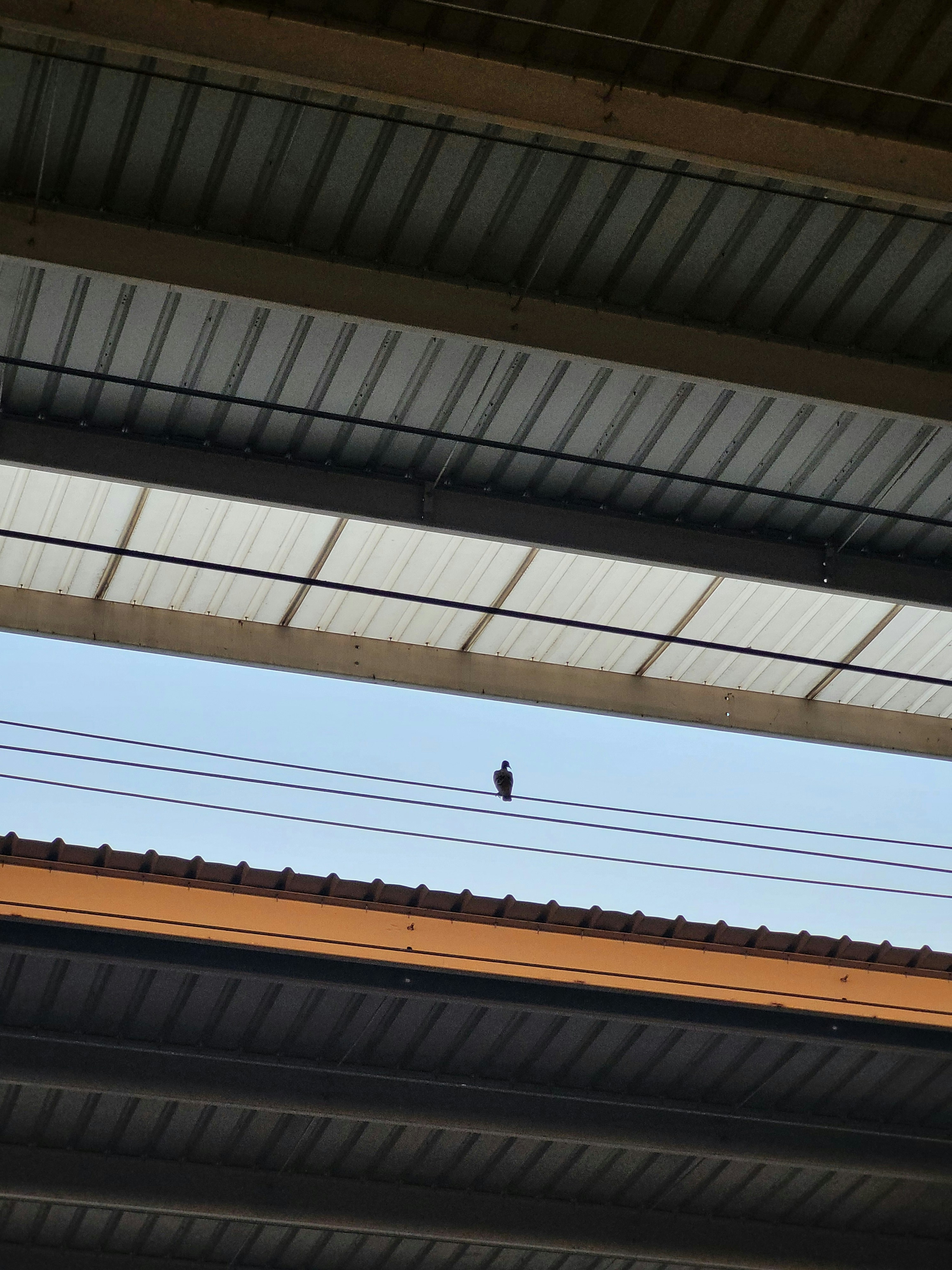 Photo by Vaibhav Singh with Samsung Galaxy S21 FE