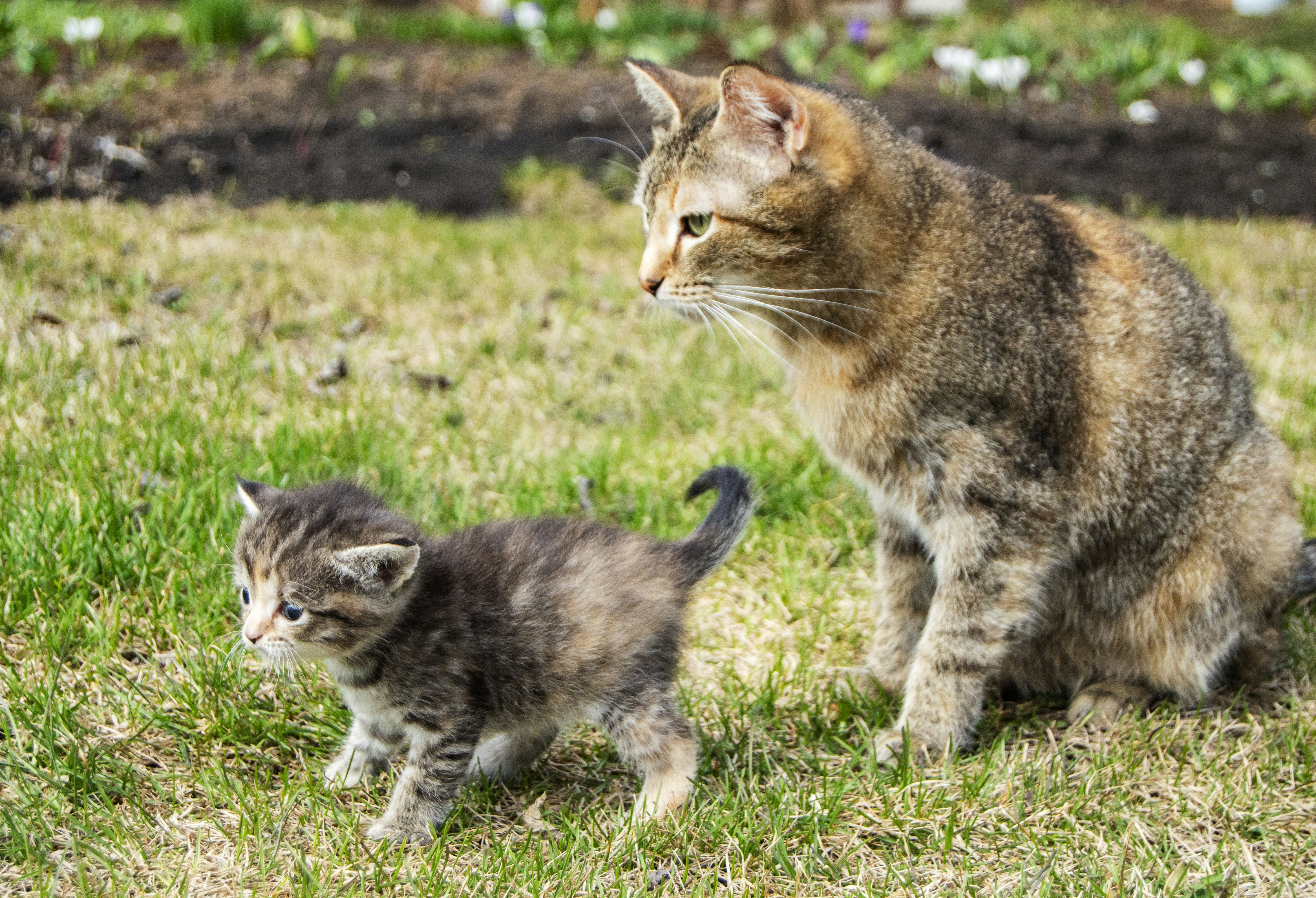 Photo by elizabeth with Nikon D3200