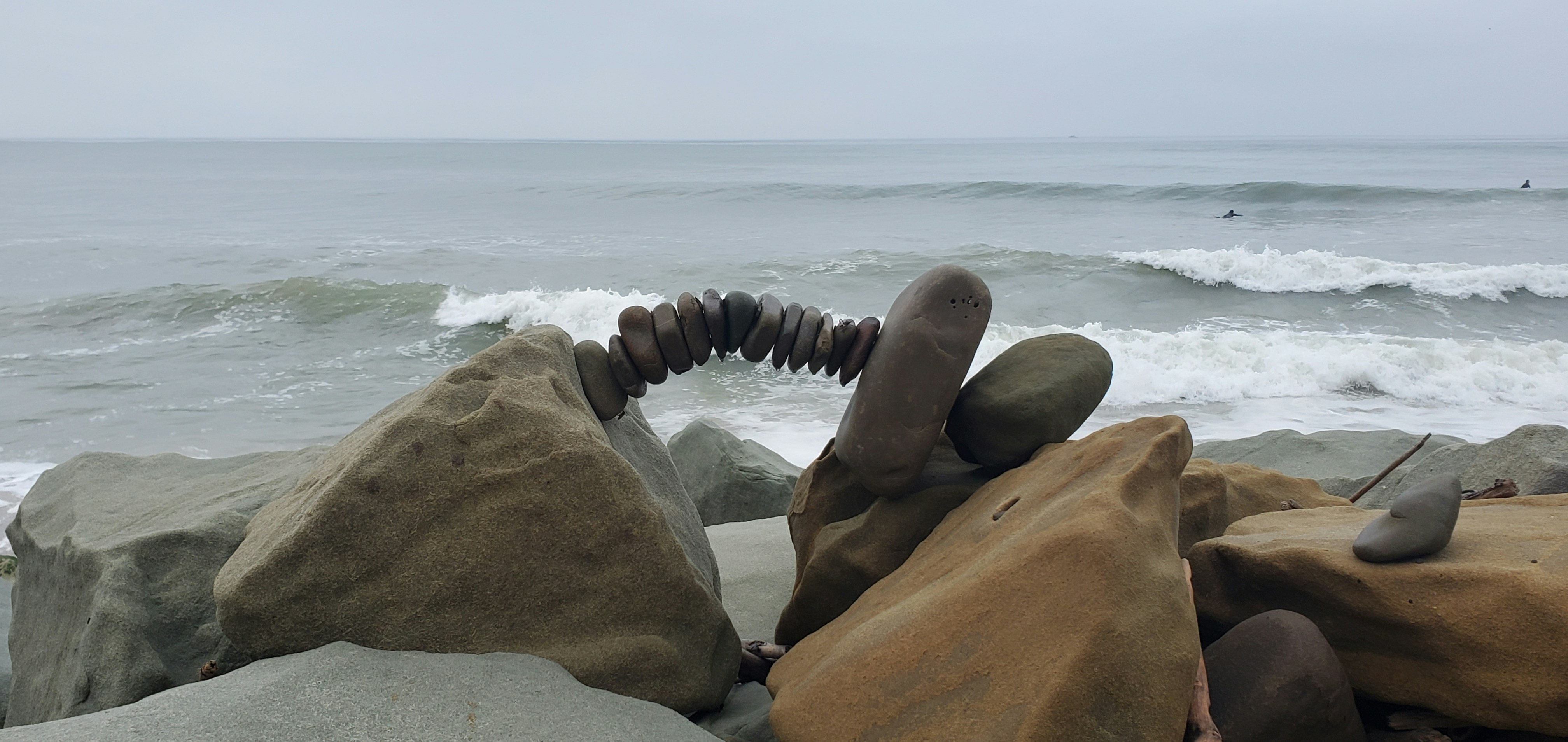 Nature's Sculptural Harmony