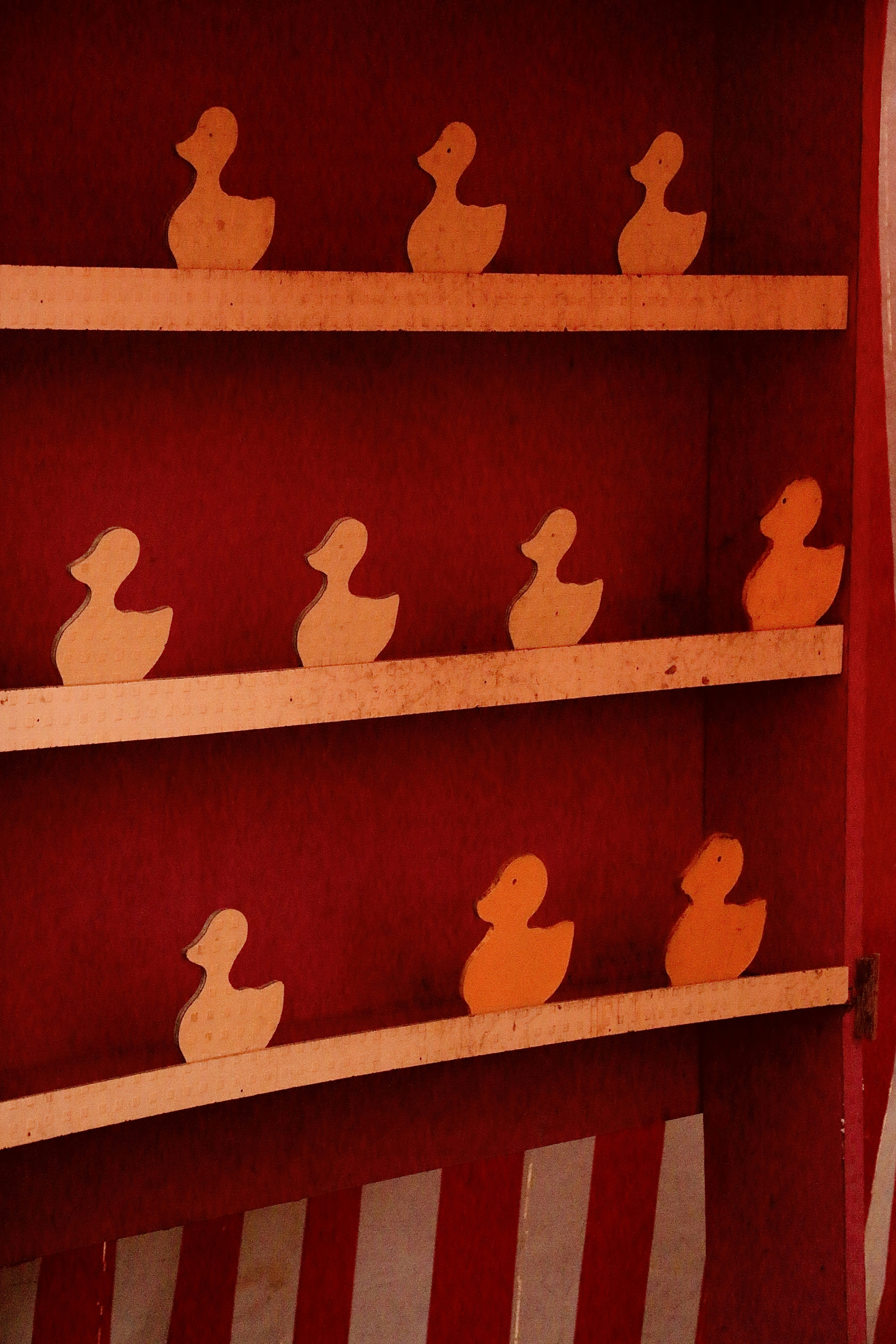 Crimson Shelves: A Quiet Parade of Duck Silhouettes