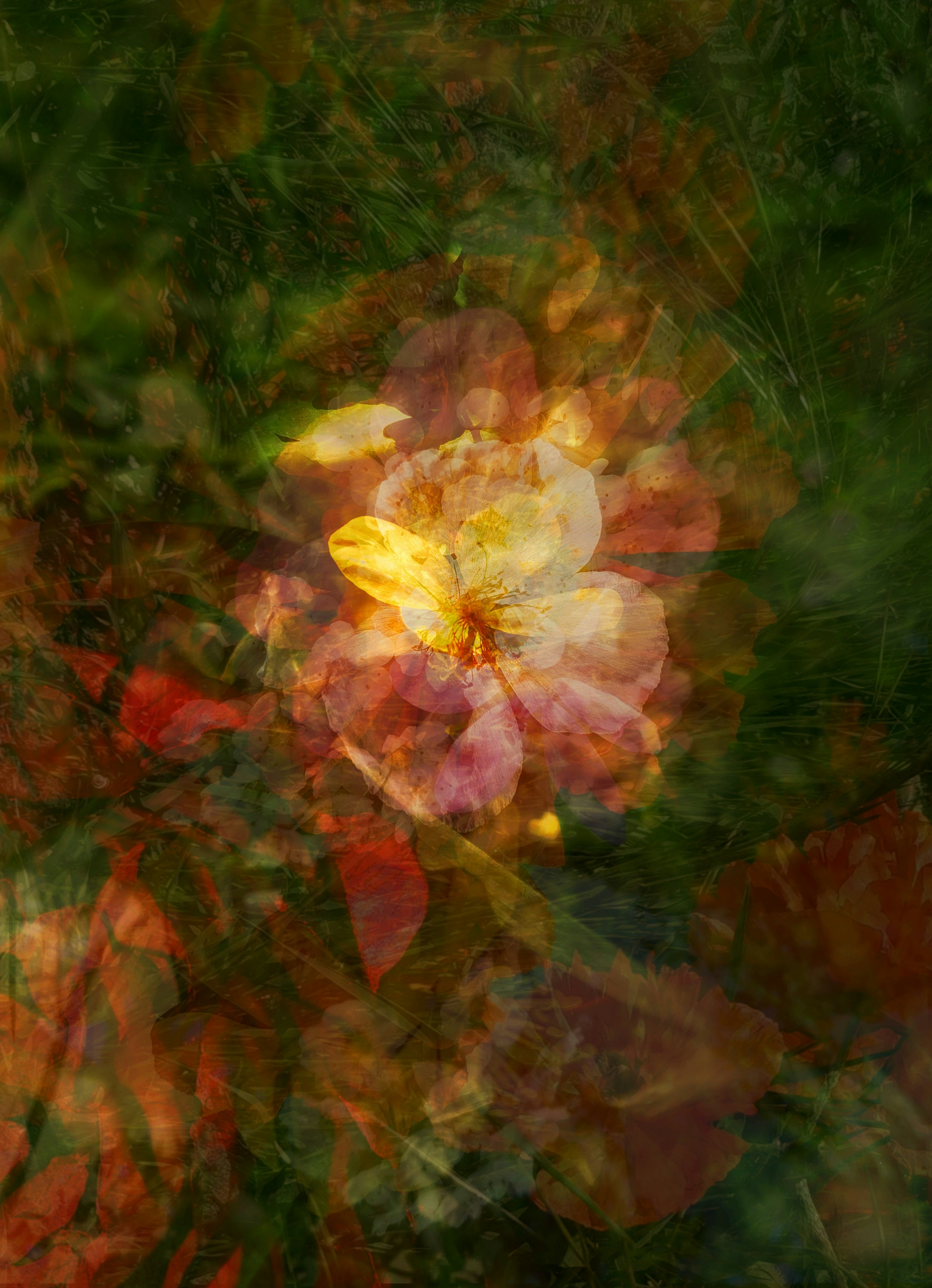 Весна цветы