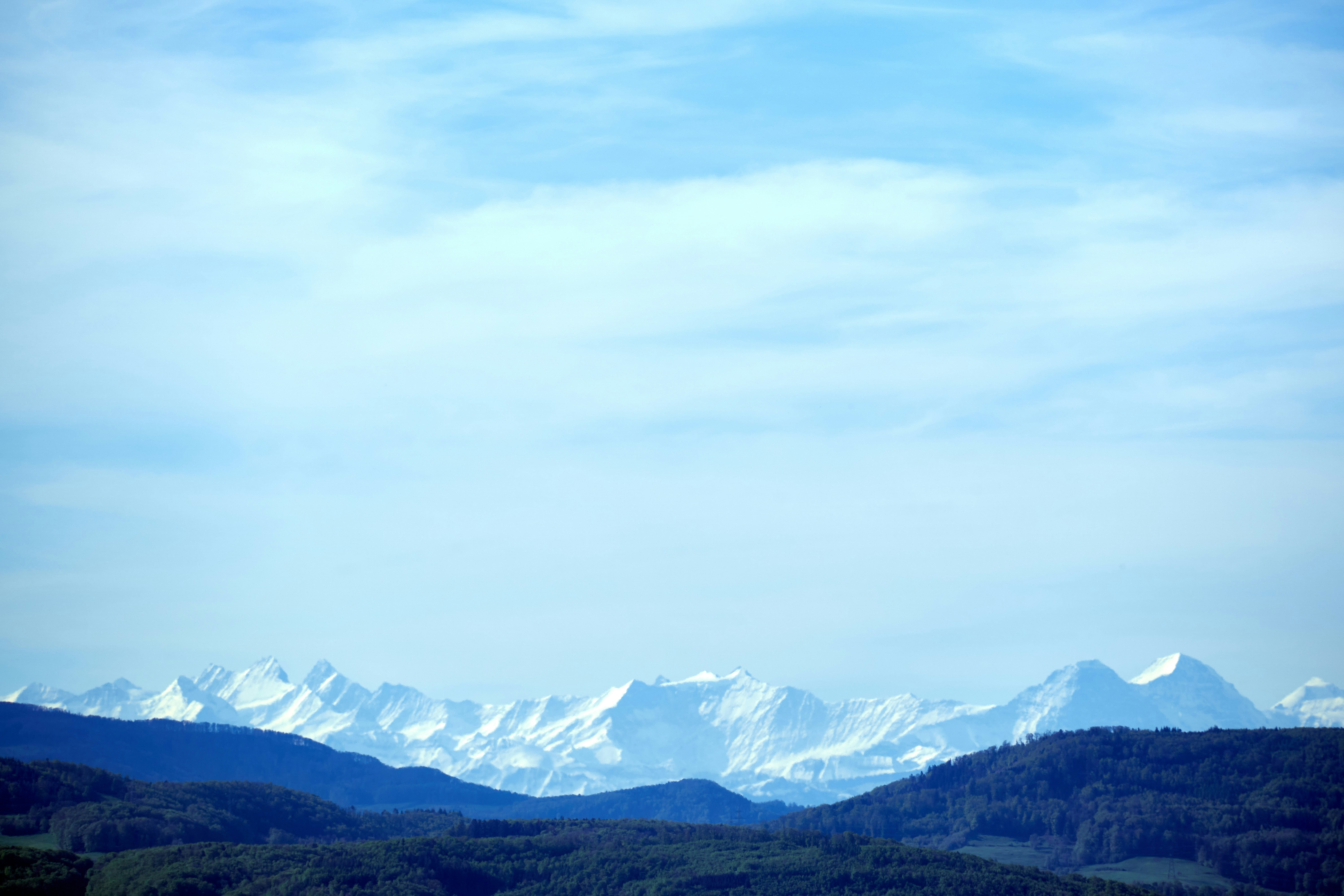 Photo by Wolfgang Hasselmann with Sony Alpha 7 III