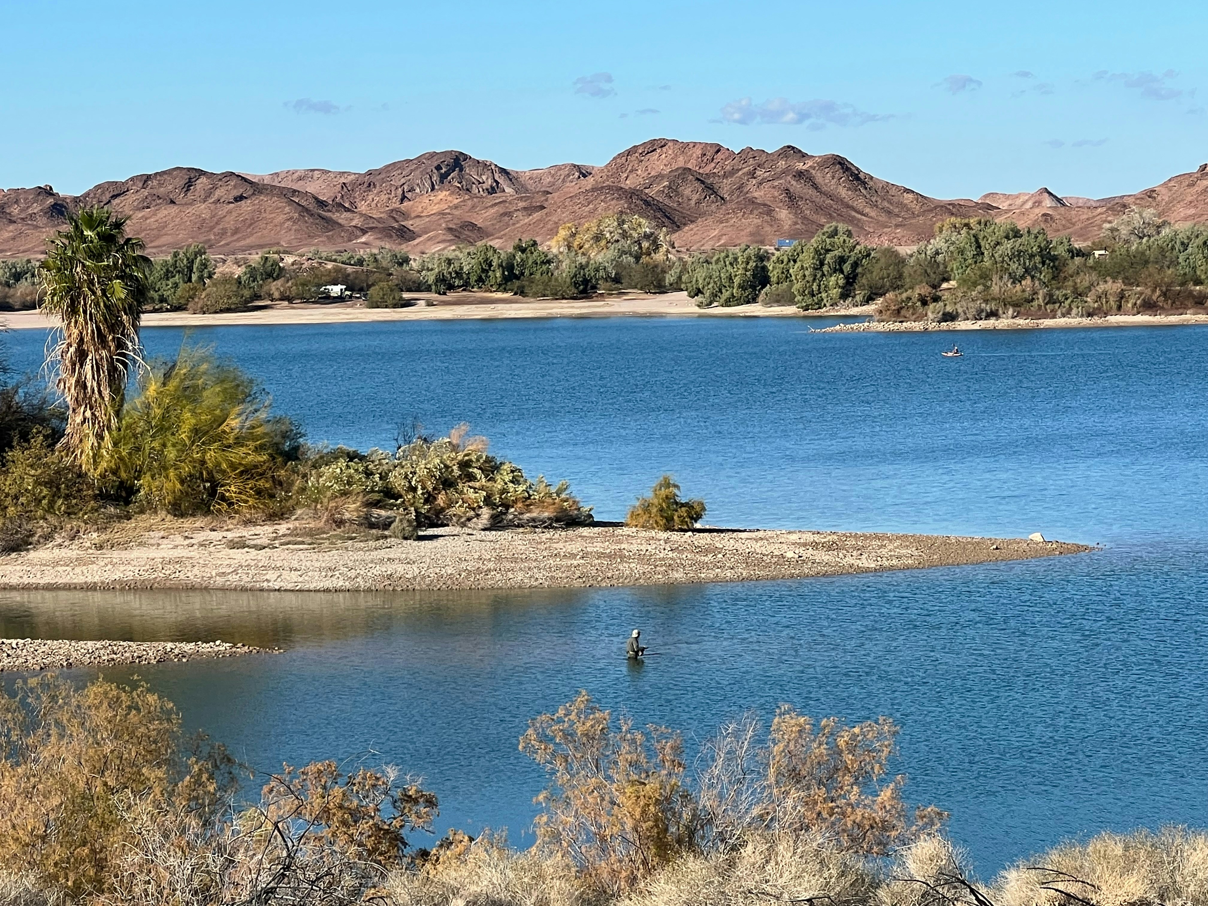 Palm-Fringed Shore of a Desert Lake Under Rugged Hills