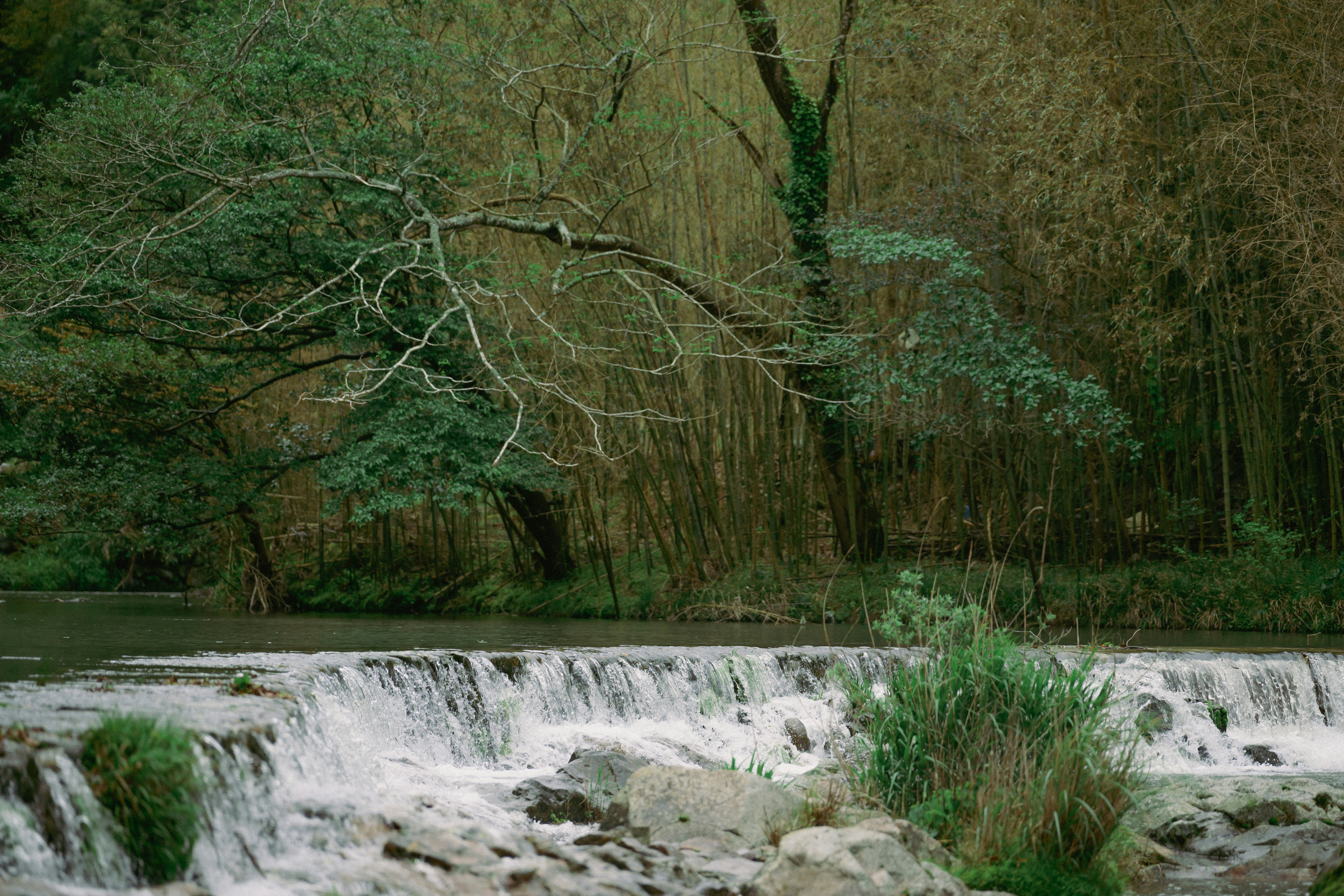 Photos Of Virginia Karns Pictures | Download Free Images on Unsplash