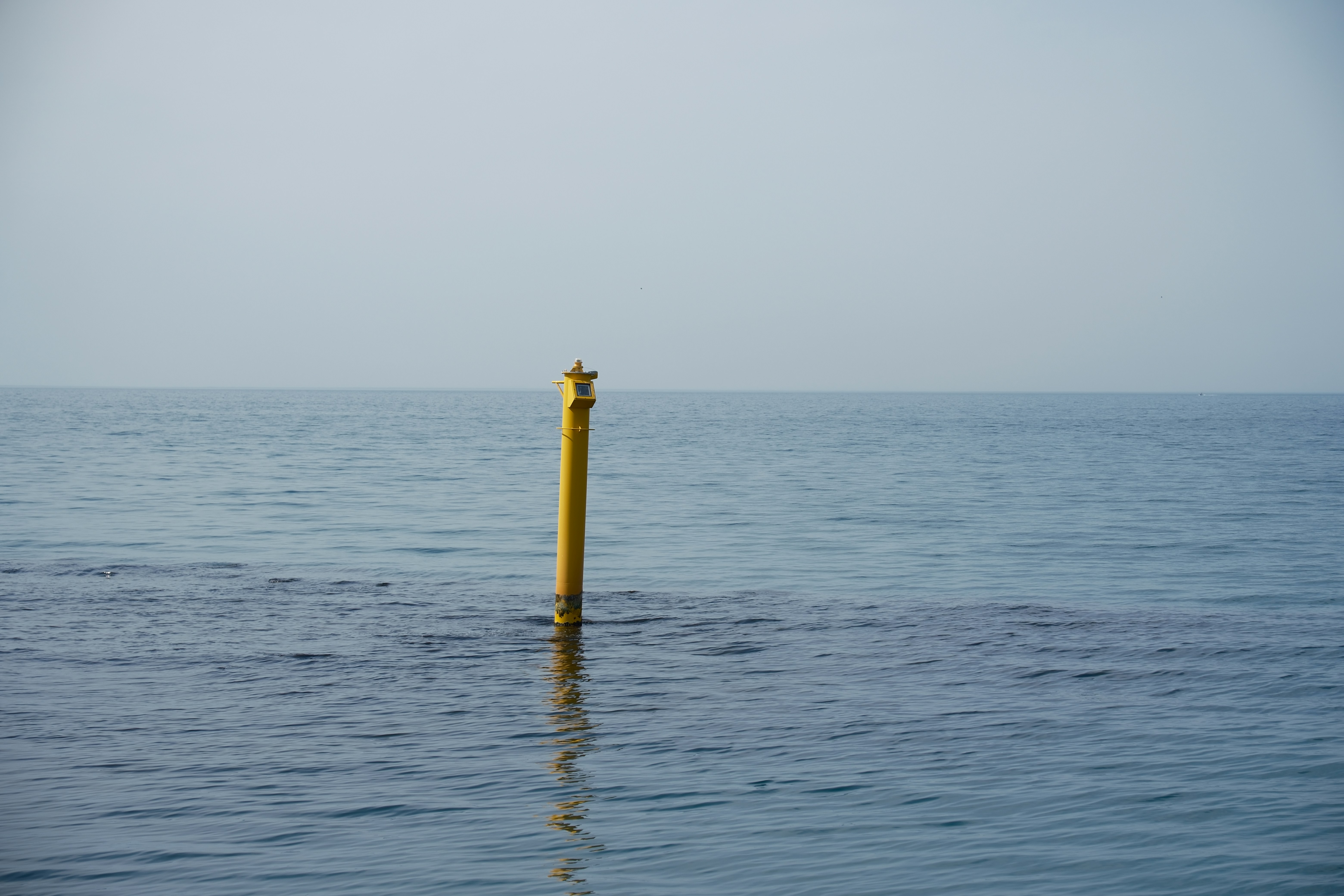 Photo by Seiya Maeda with Fujifilm X-H2S