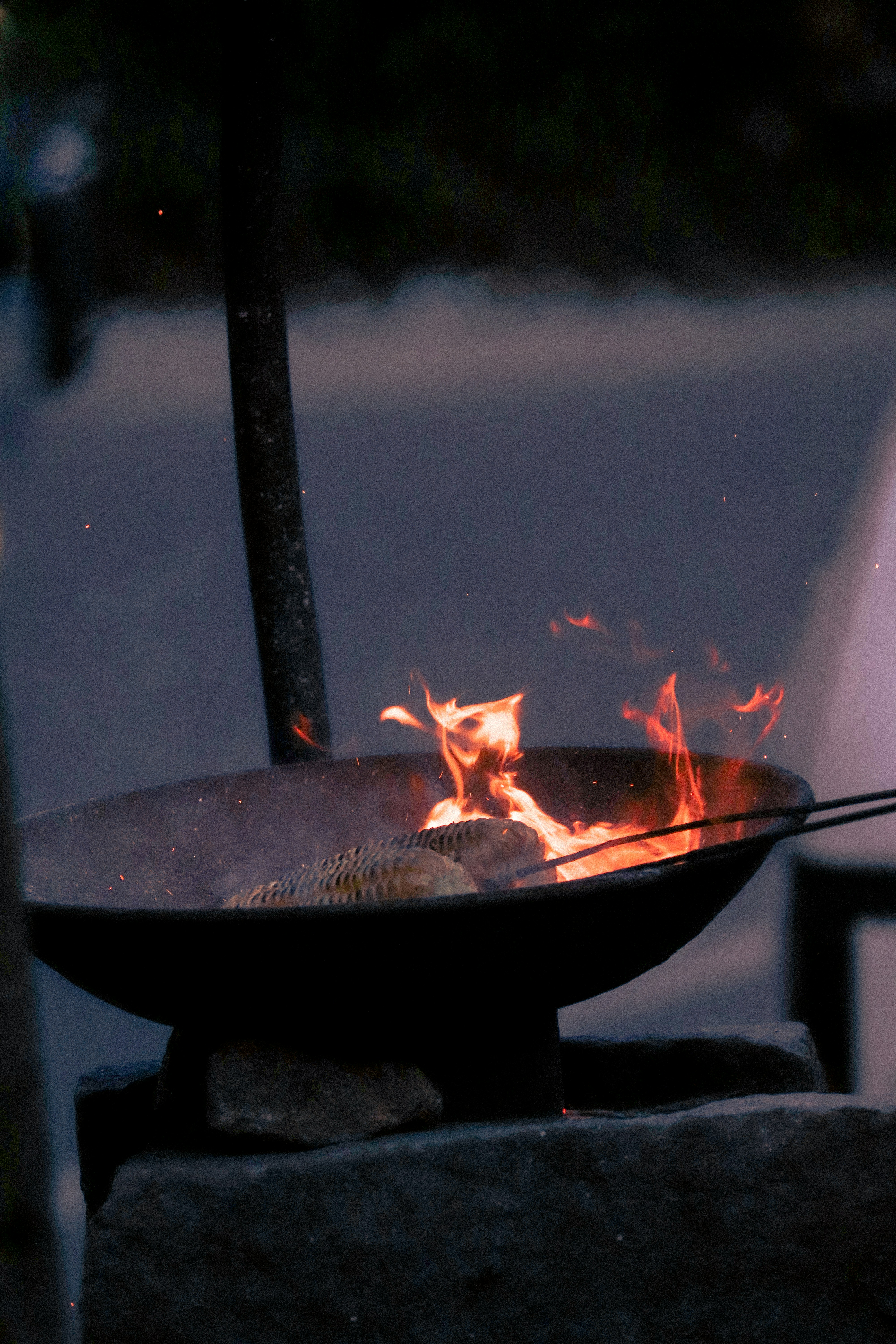 Photo by Adhil M N with Canon EOS 200D