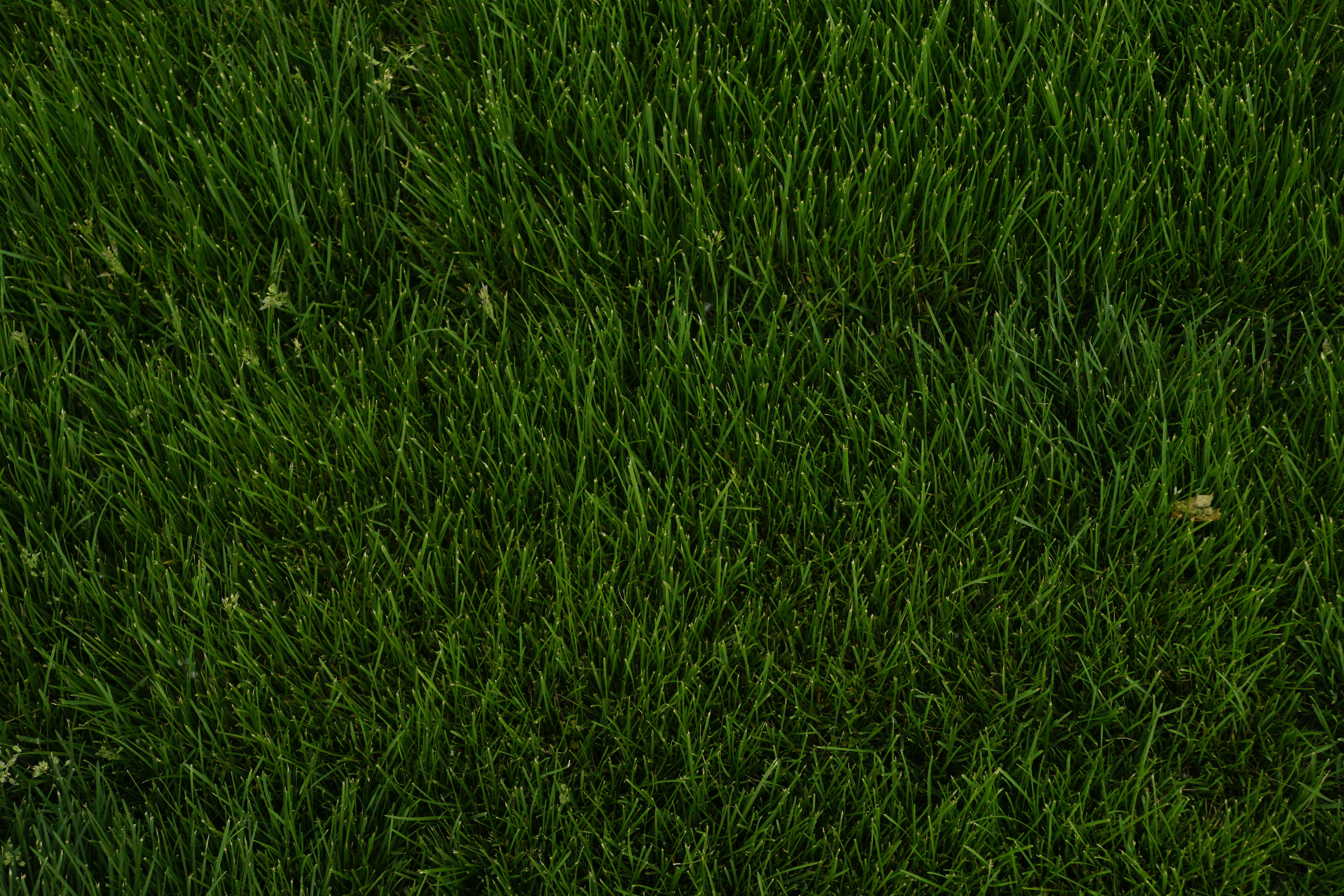 Photo by ye xin with Sony Alpha 6000