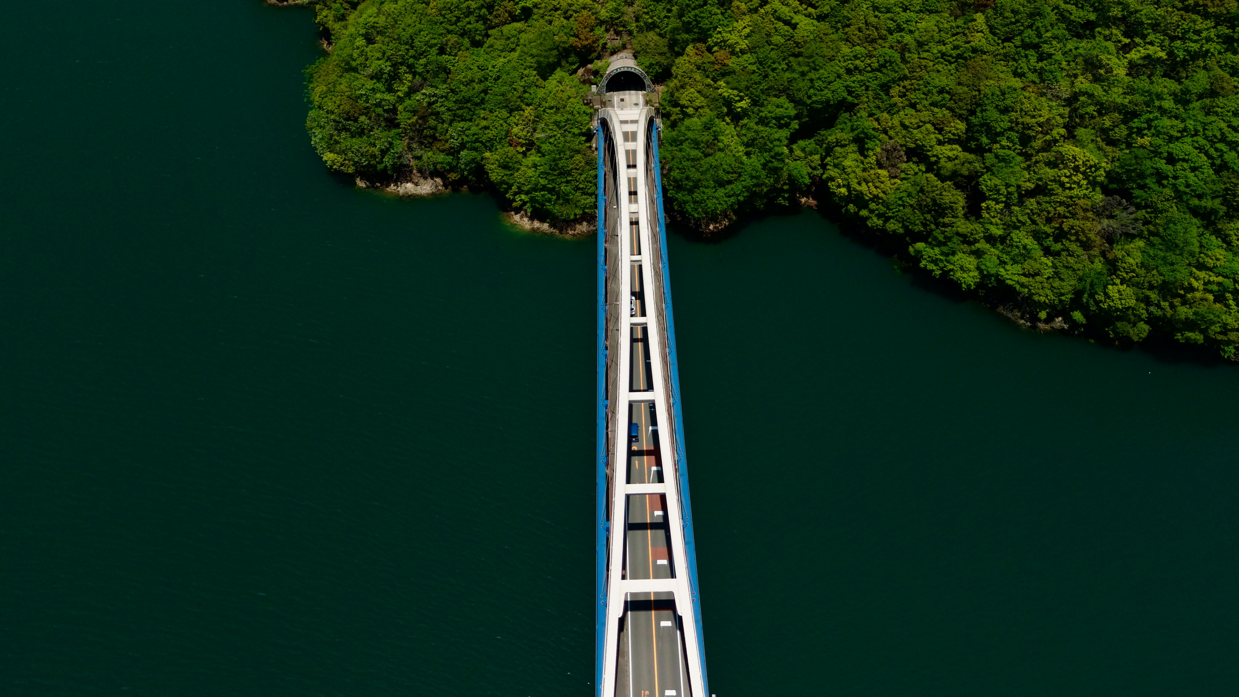 Blue Span Over Emerald Waters: A Drone View of a Narrow Waterfront Bridge