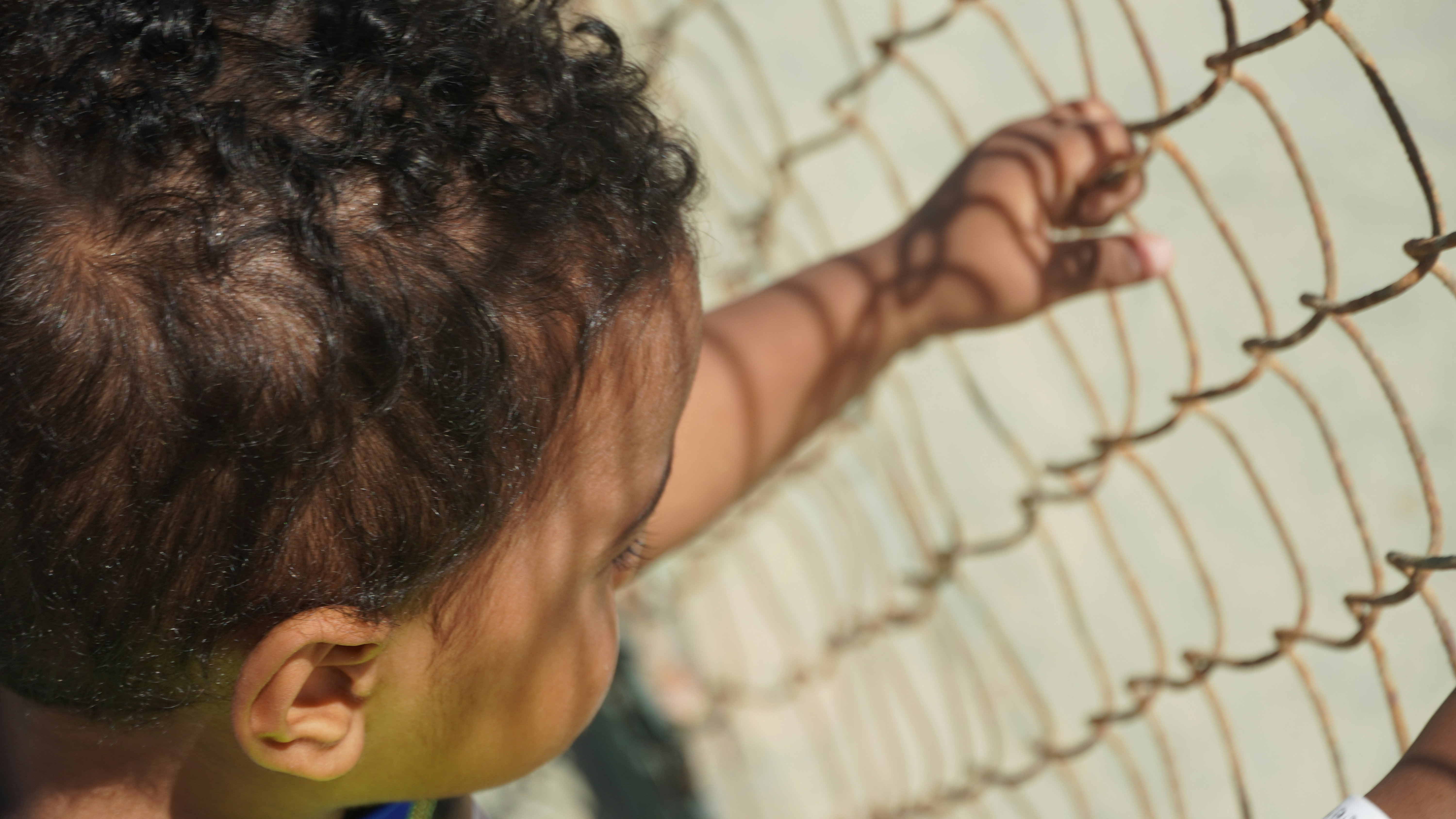 Curious Moment at the Fence