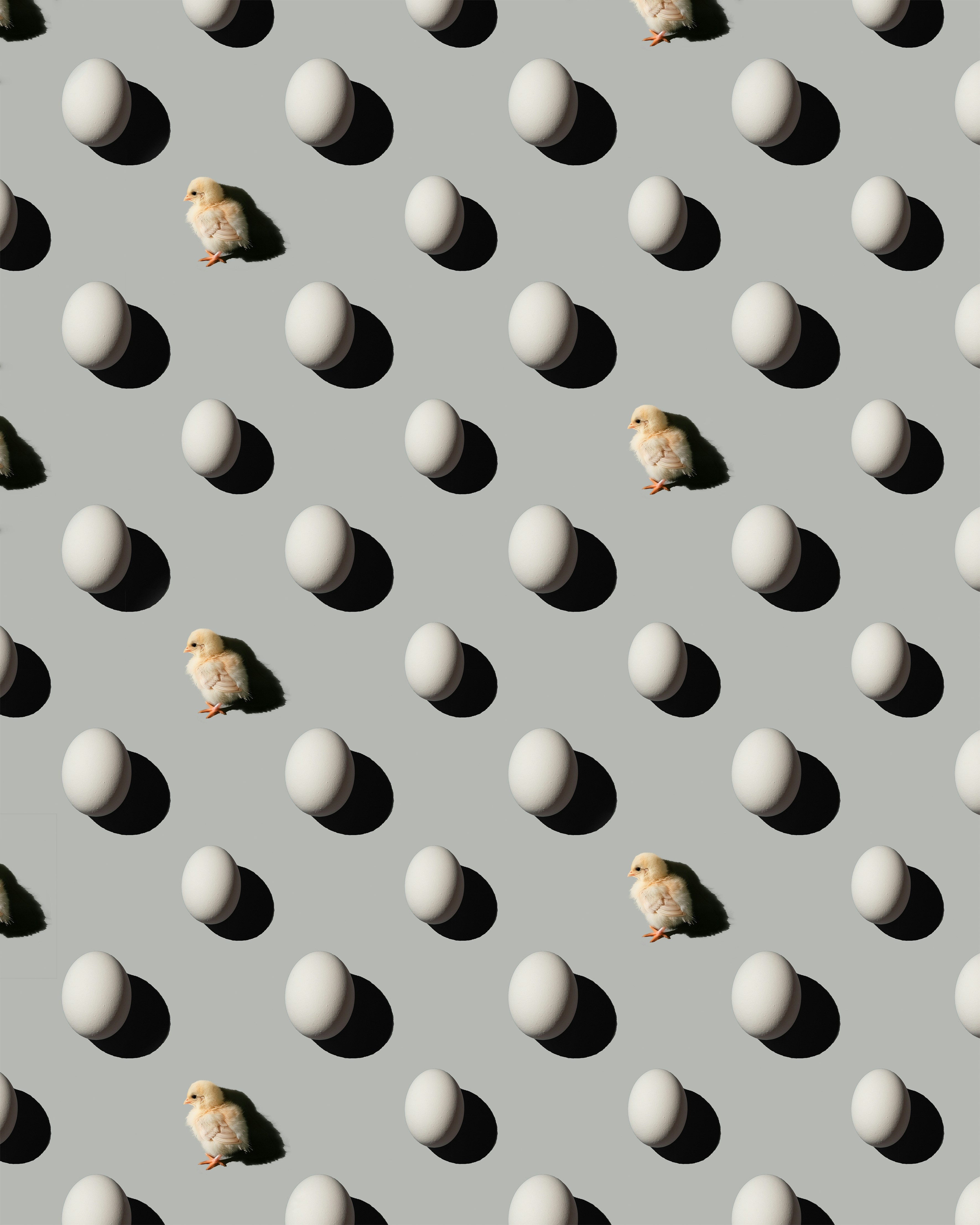 Photo by Roman Matveev with Sony Alpha 6400