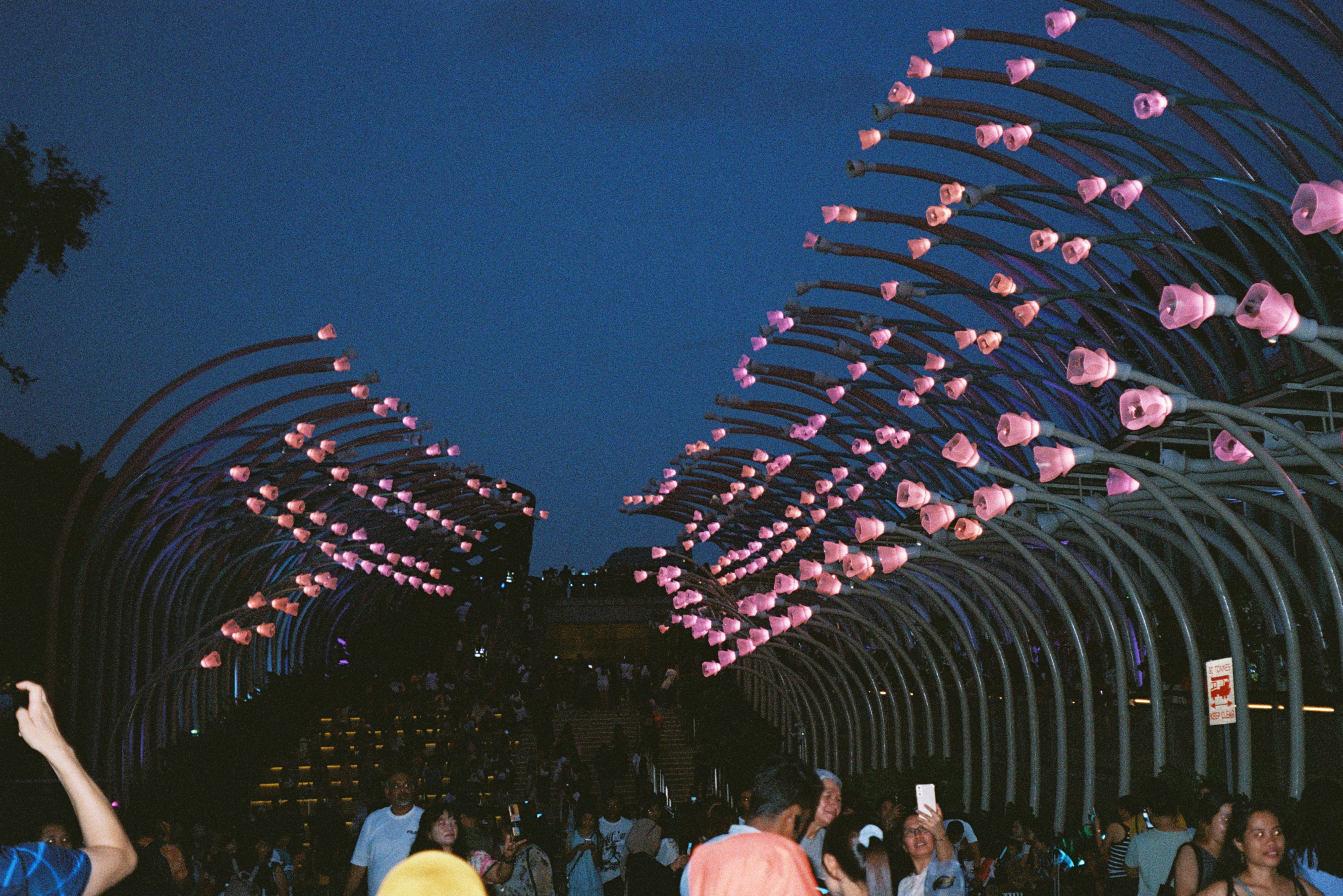 Archway of Pink Lanterns Illuminates a Night Market Crowd