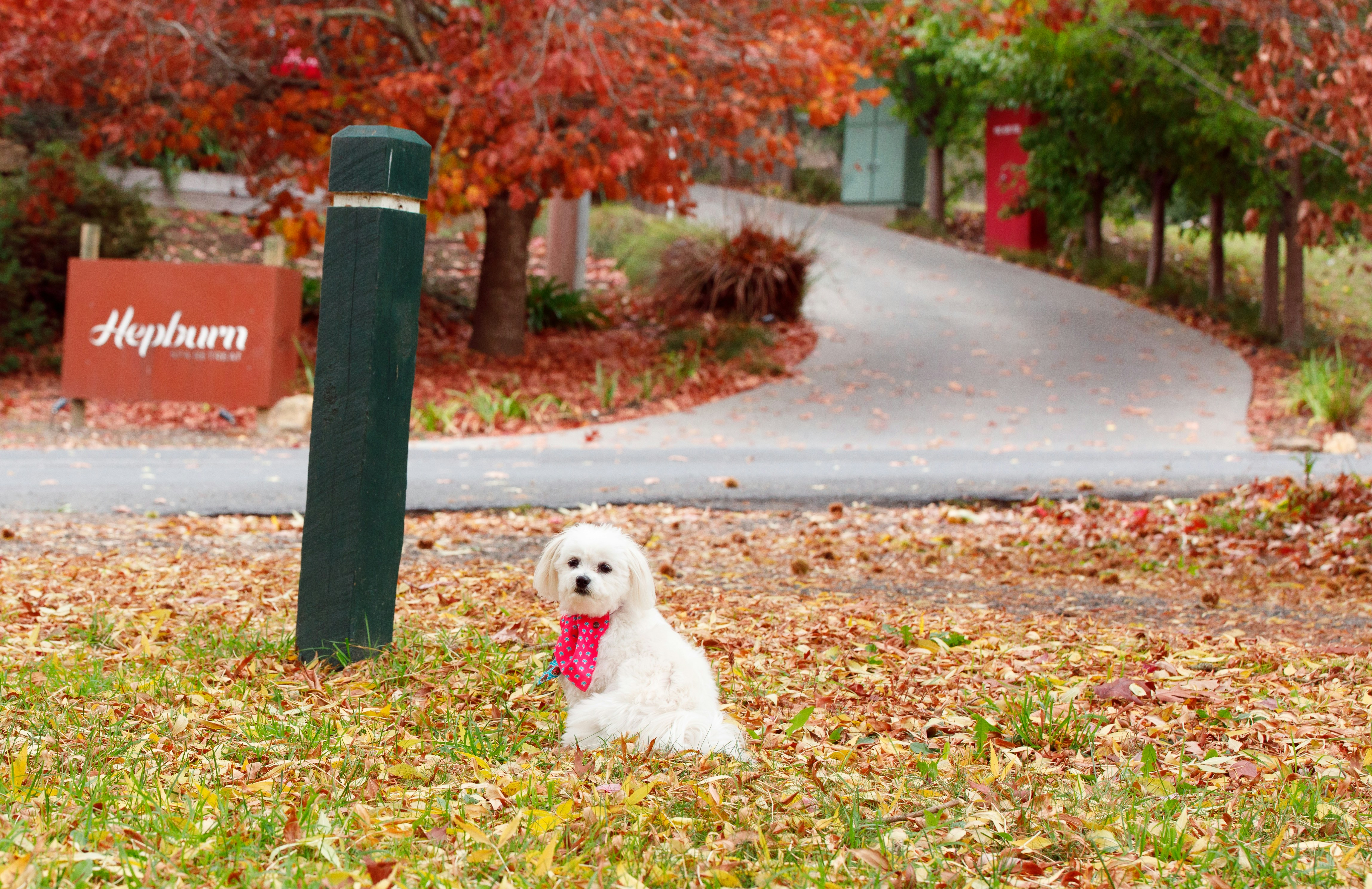 Photo by Aman Mann with Canon EOS 5D Mark IV