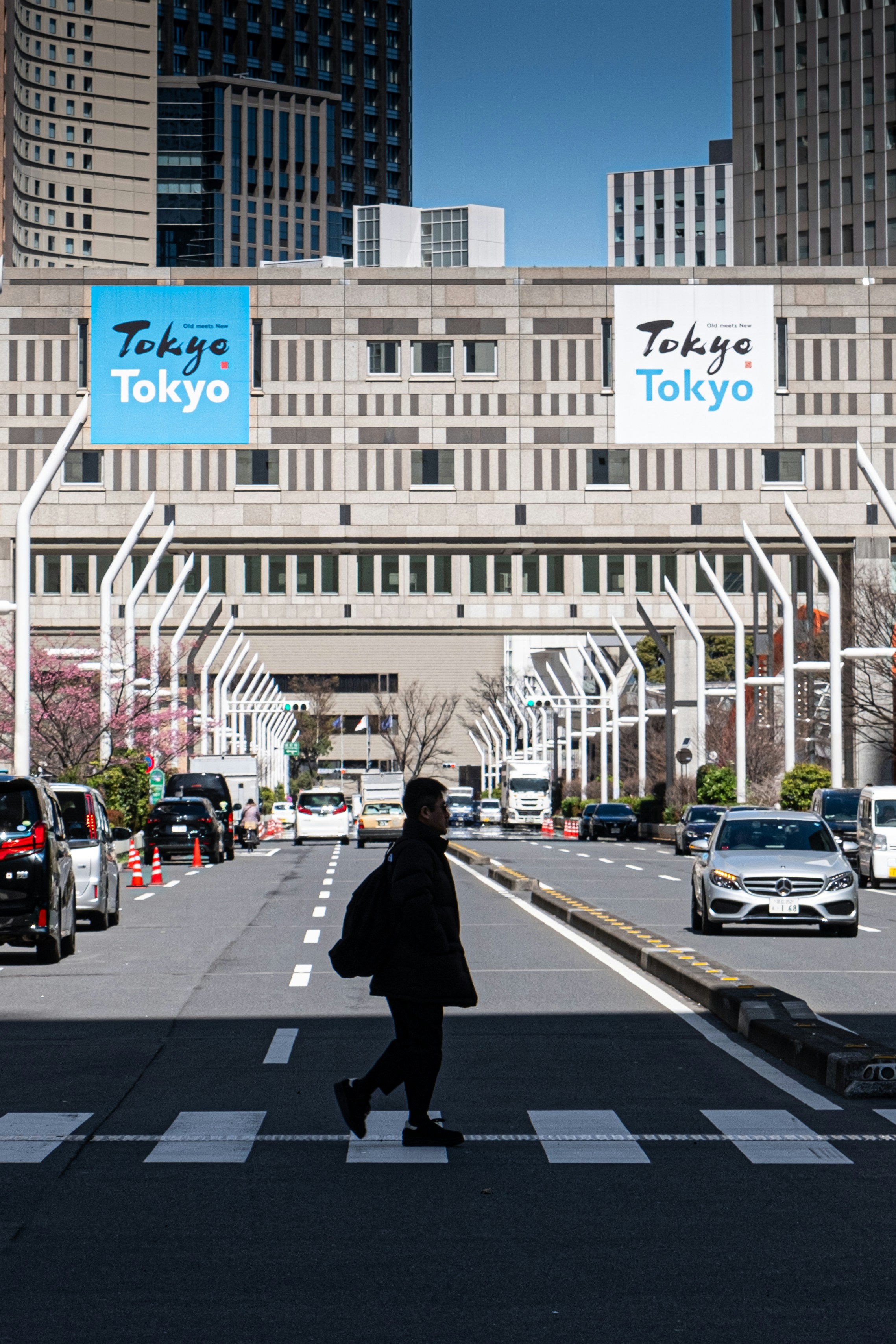 Midday Pedestrian Crossing Under Twin Tokyo Banners