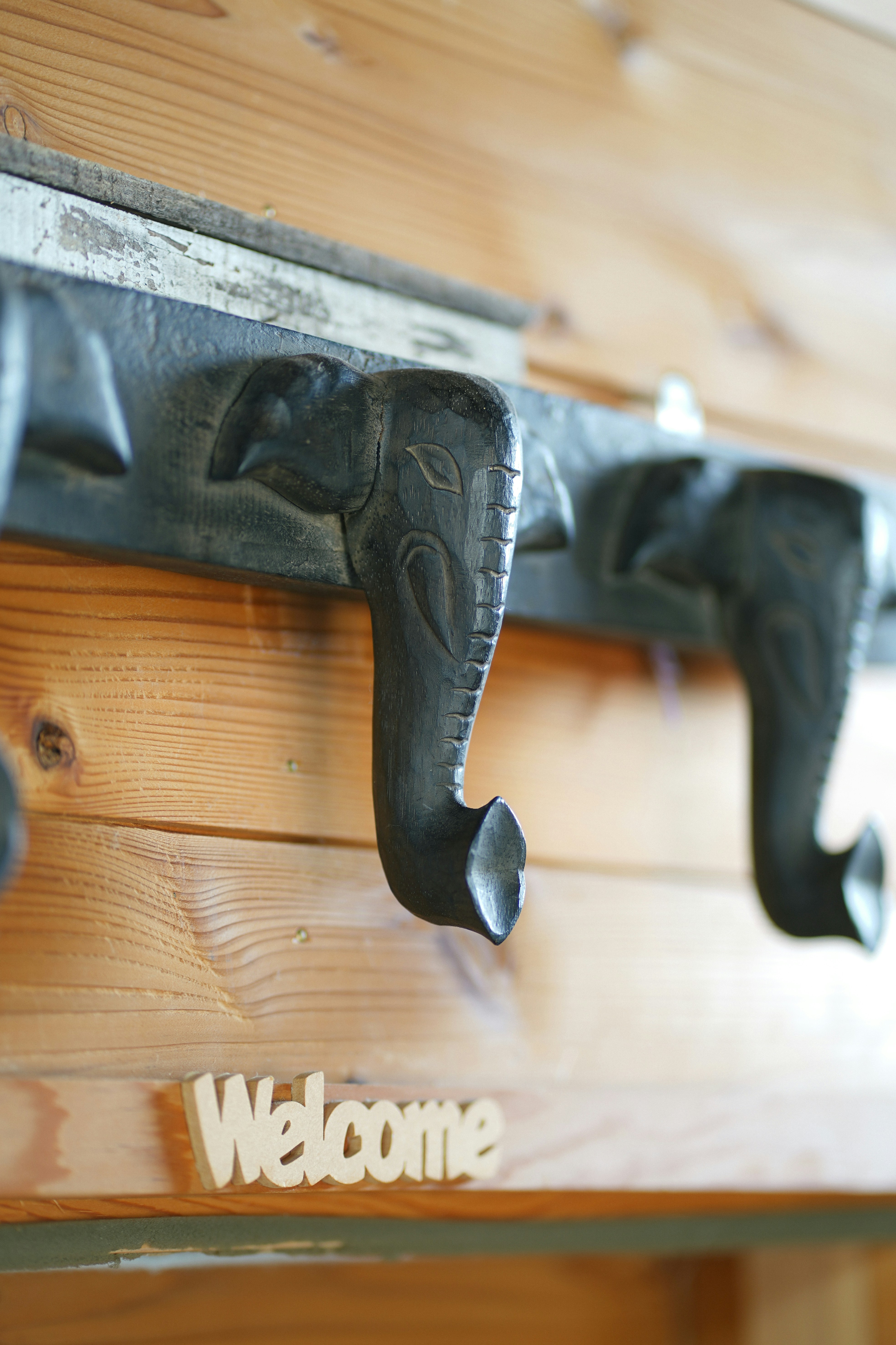 Iron Hooks Framing a Rustic Welcome on Warm Wood