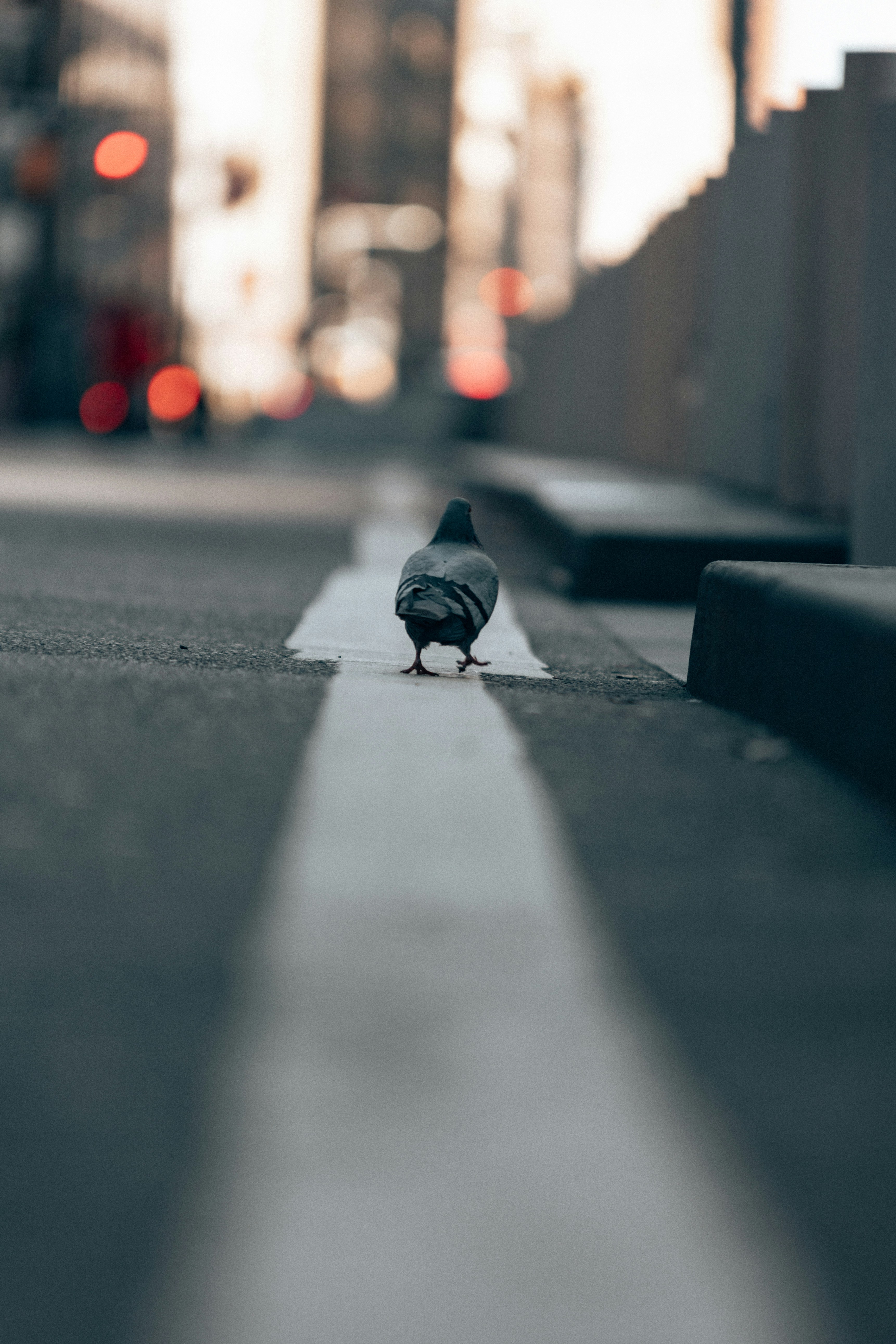 Photo by Andrew varnum with Canon EOS R6