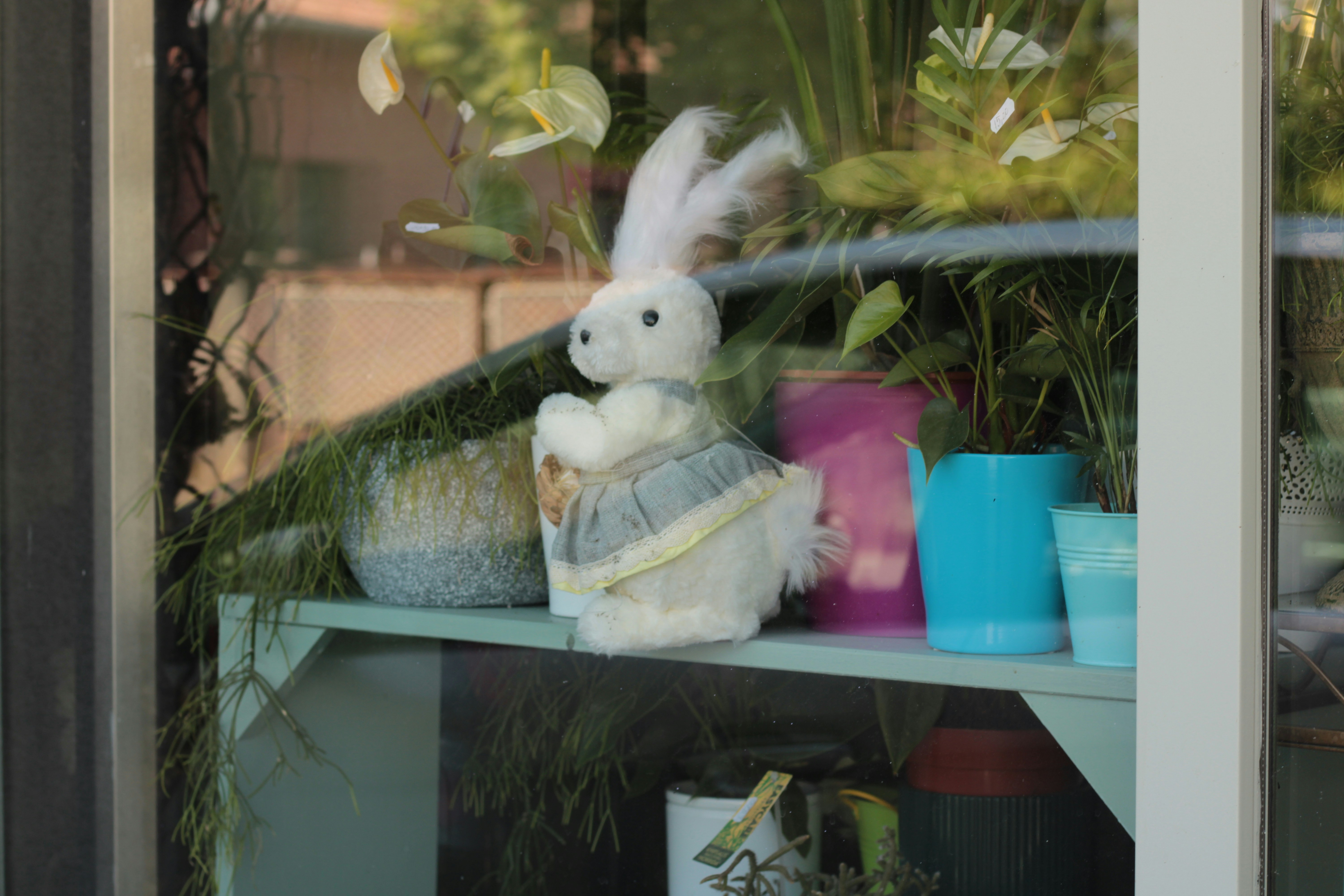 Photo by Theo Lonic with Canon EOS 2000D