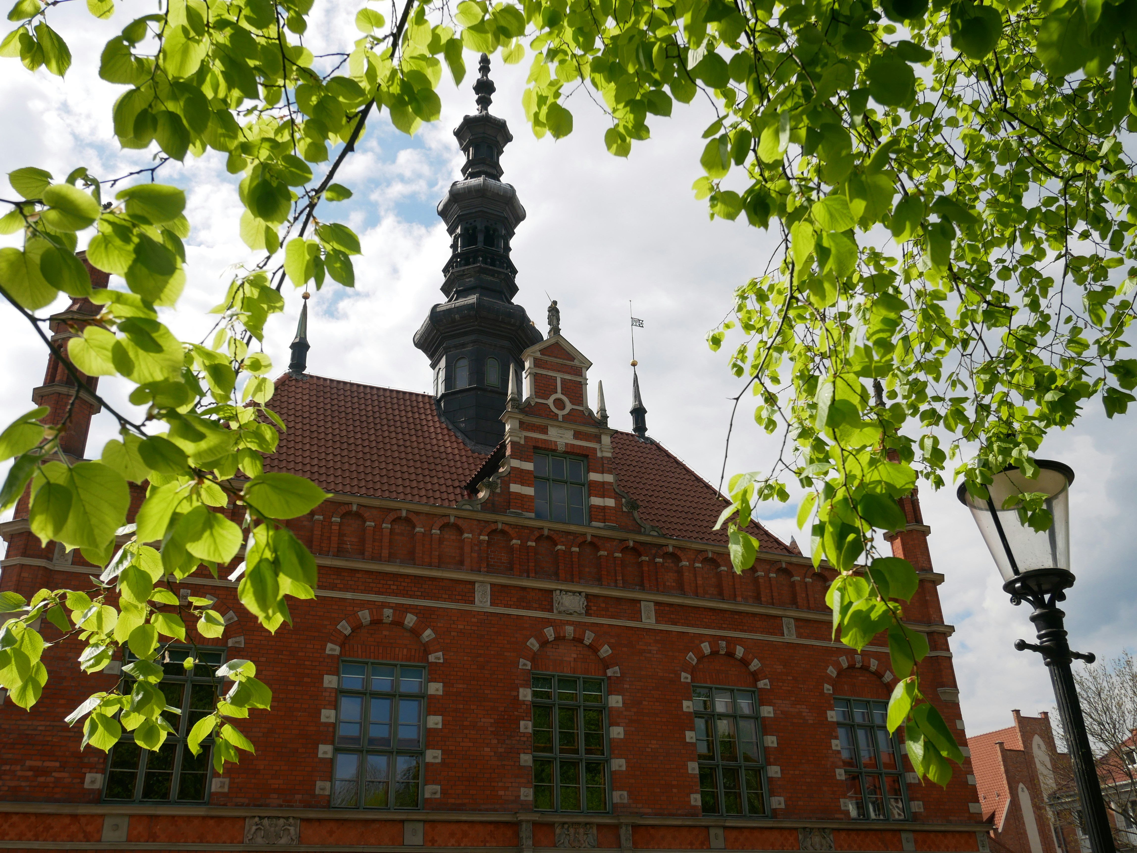 Verdant Framing of a Red Brick Town Hall Spire