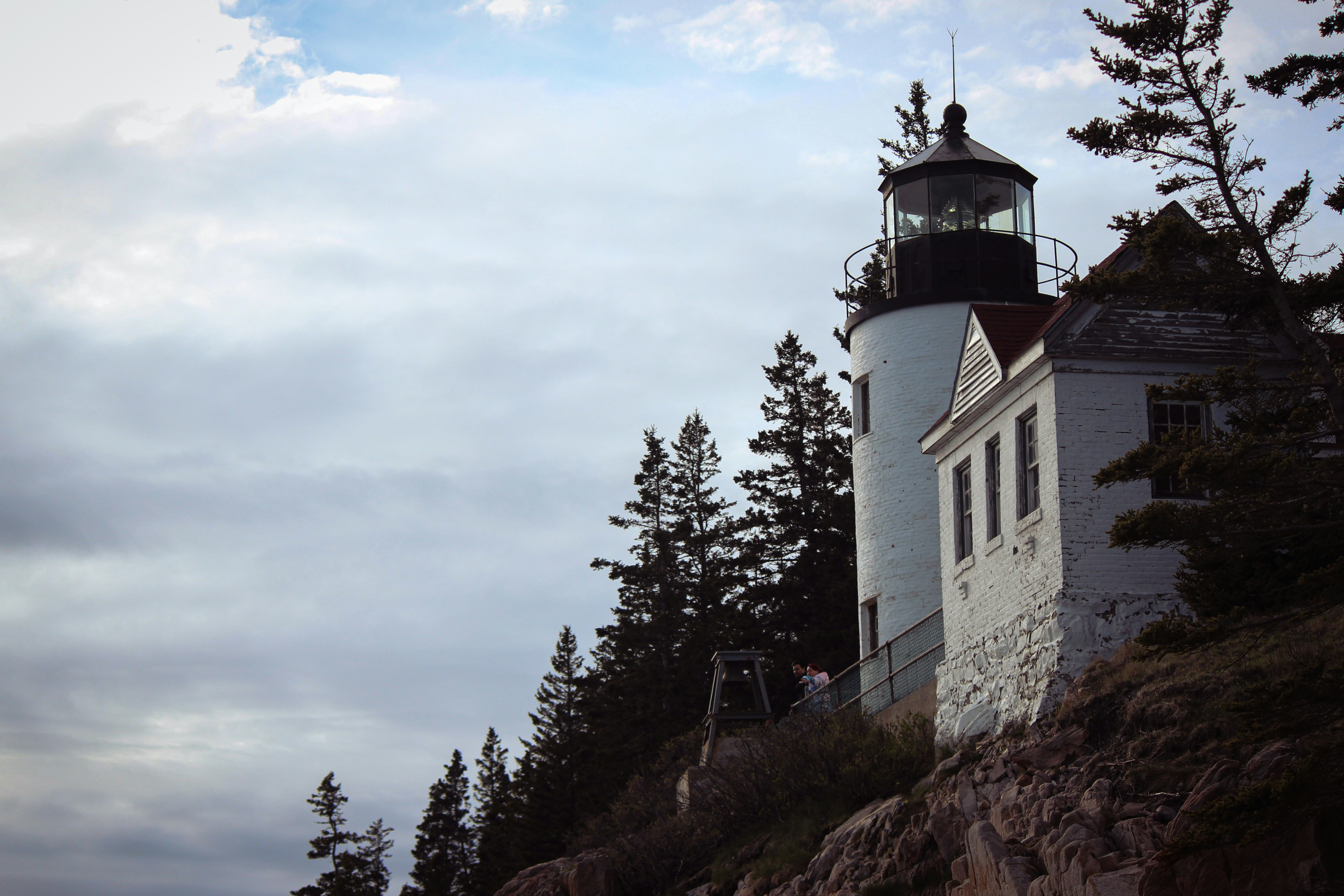 Beacon on the Bluff: White Lighthouse Framed by Pines Beneath Grey Skies