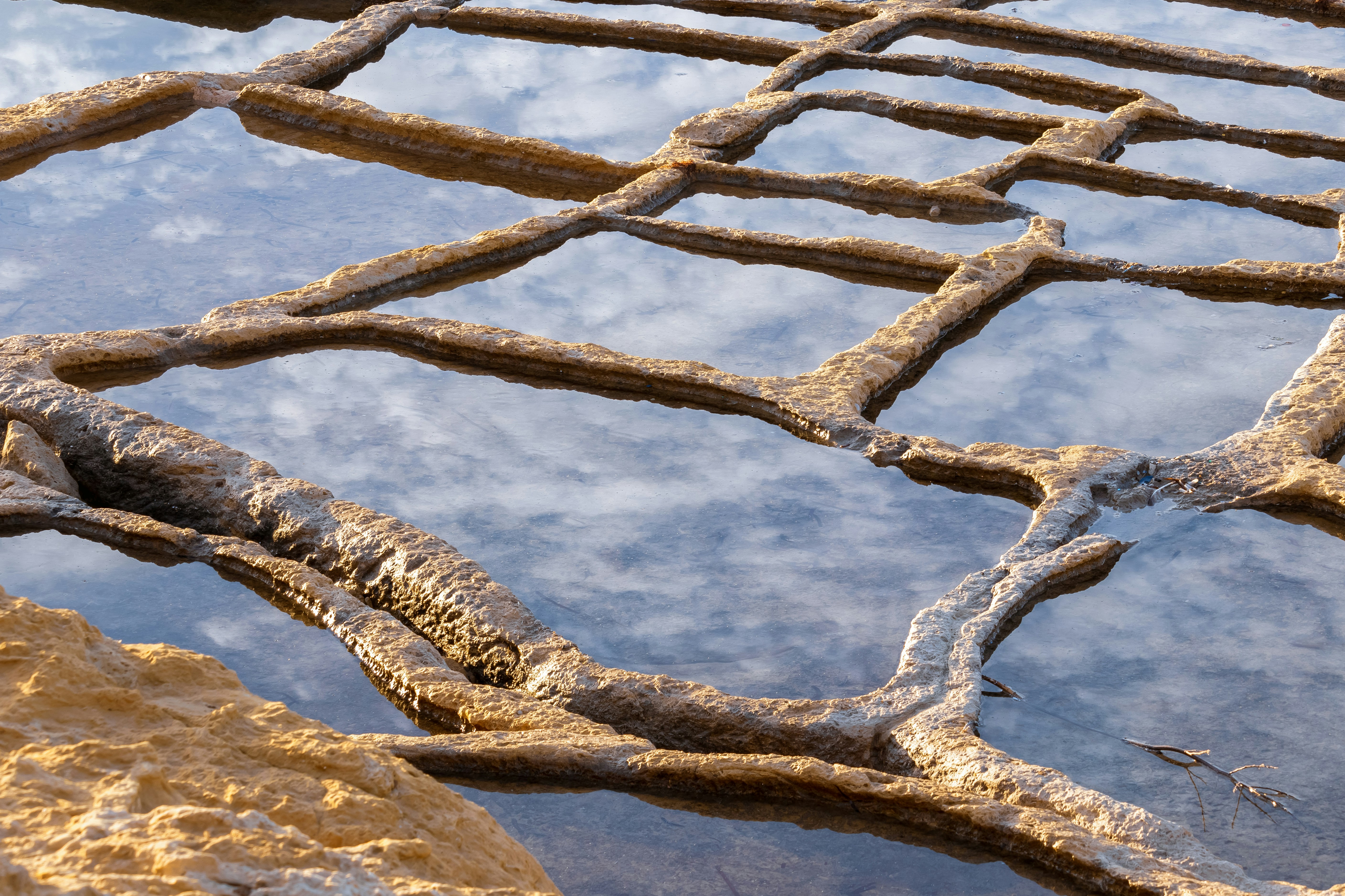 Crisscross Driftwood Lattice Over a Quiet Reflective Pool