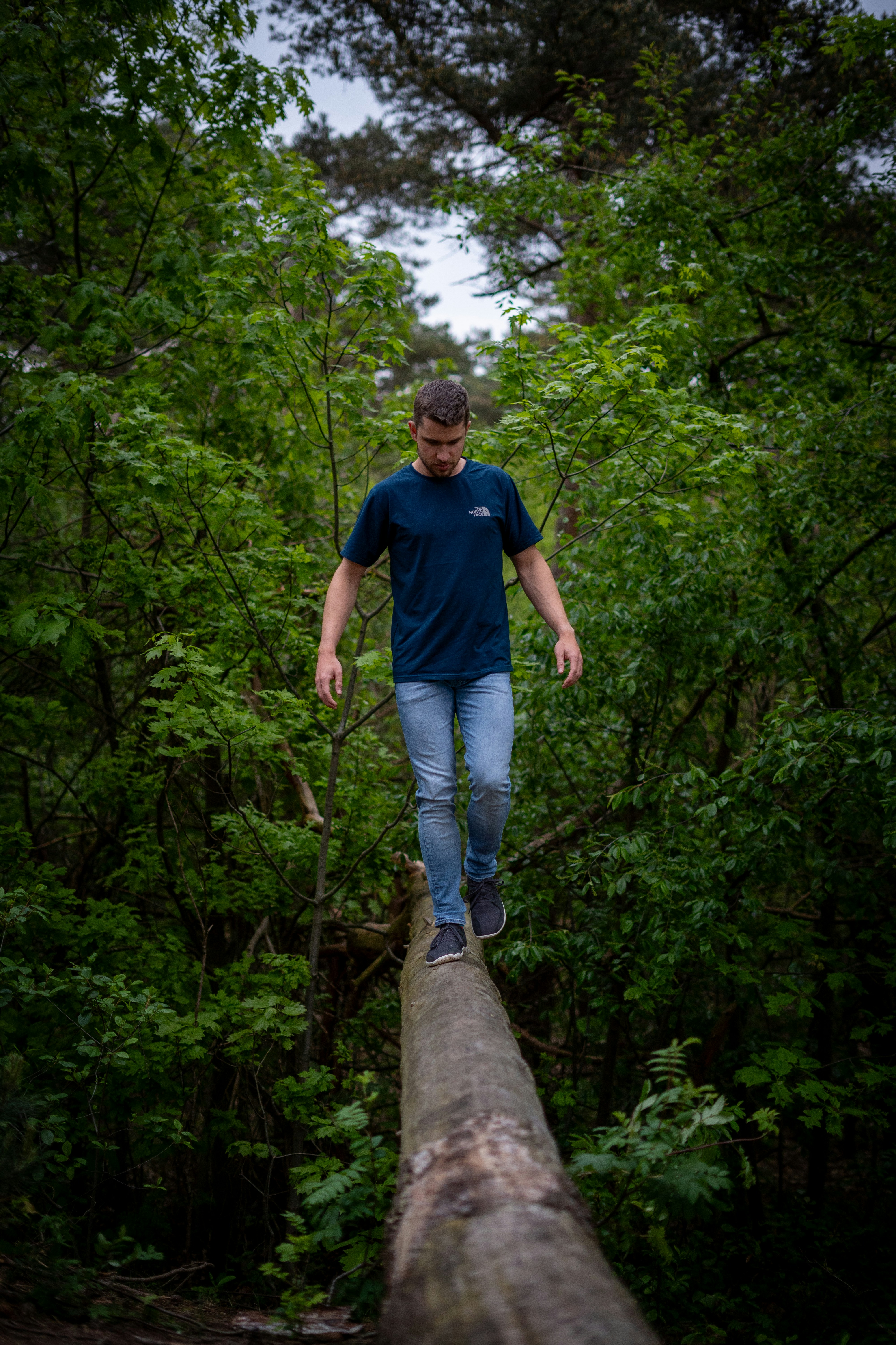 A man walking on a log in the woods photo – Free Green Image on Unsplash