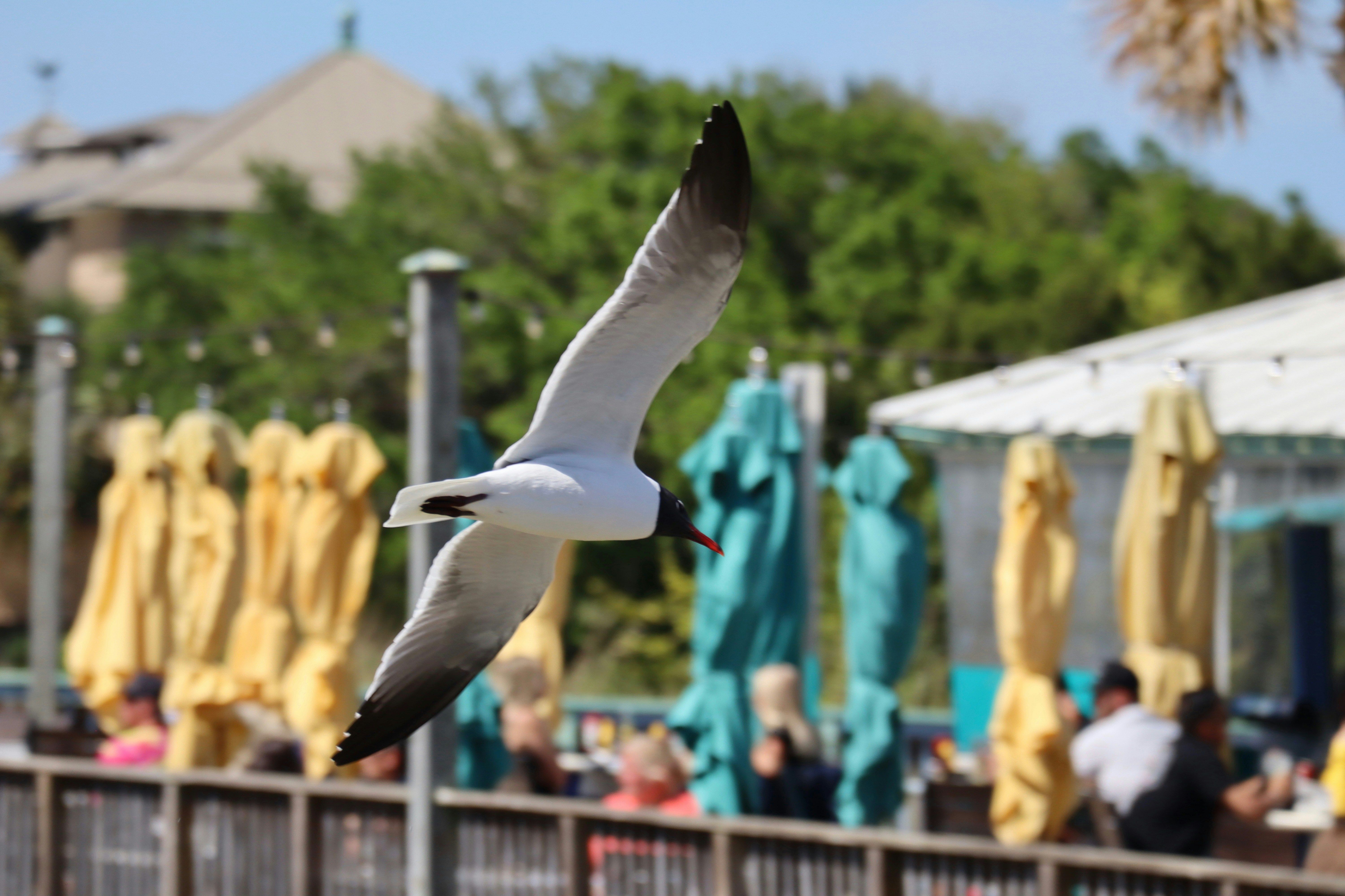 Photo by Rebecca Johnsen with Canon EOS M50