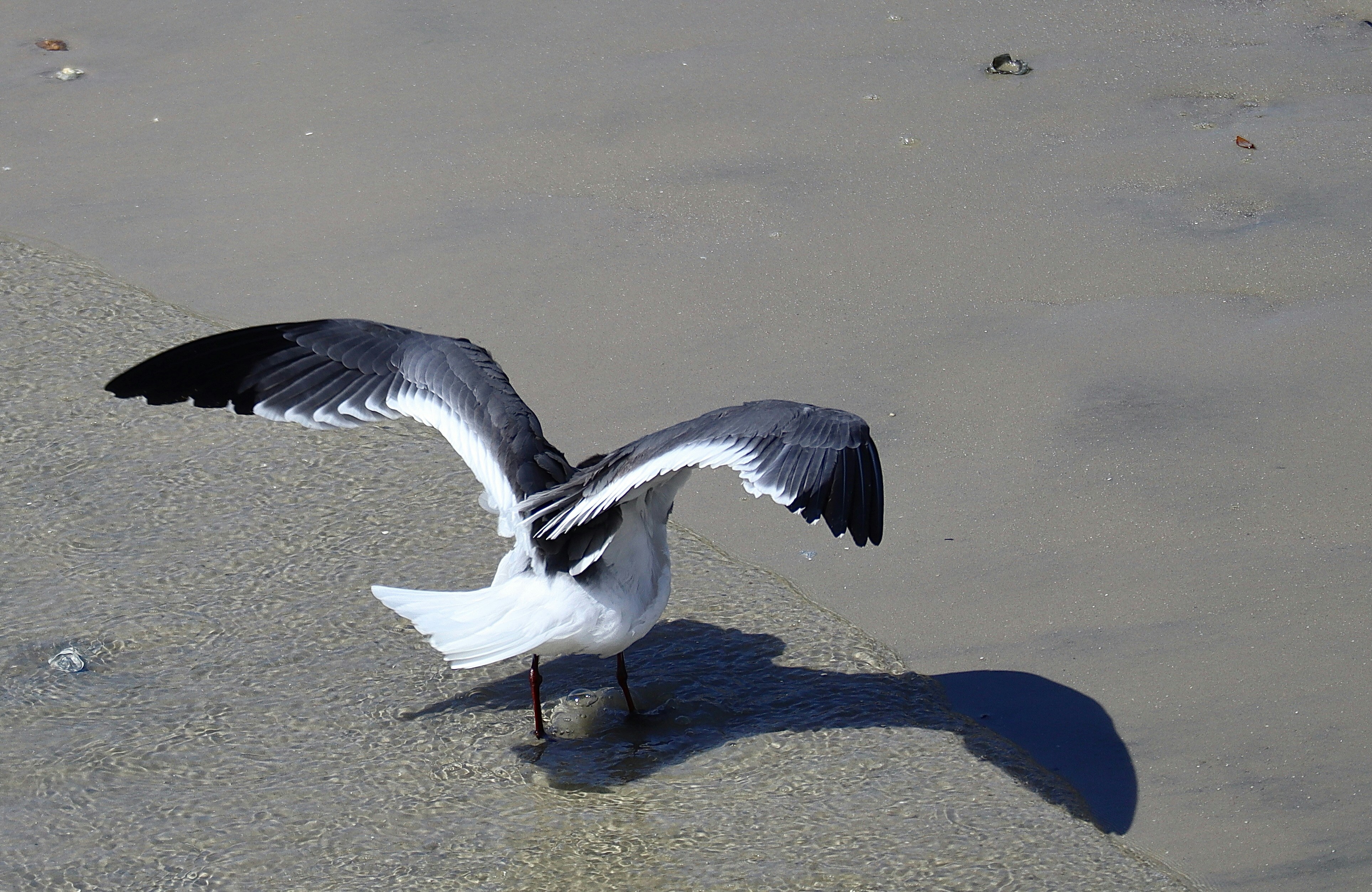 Photo by Rebecca Johnsen with Canon EOS M50