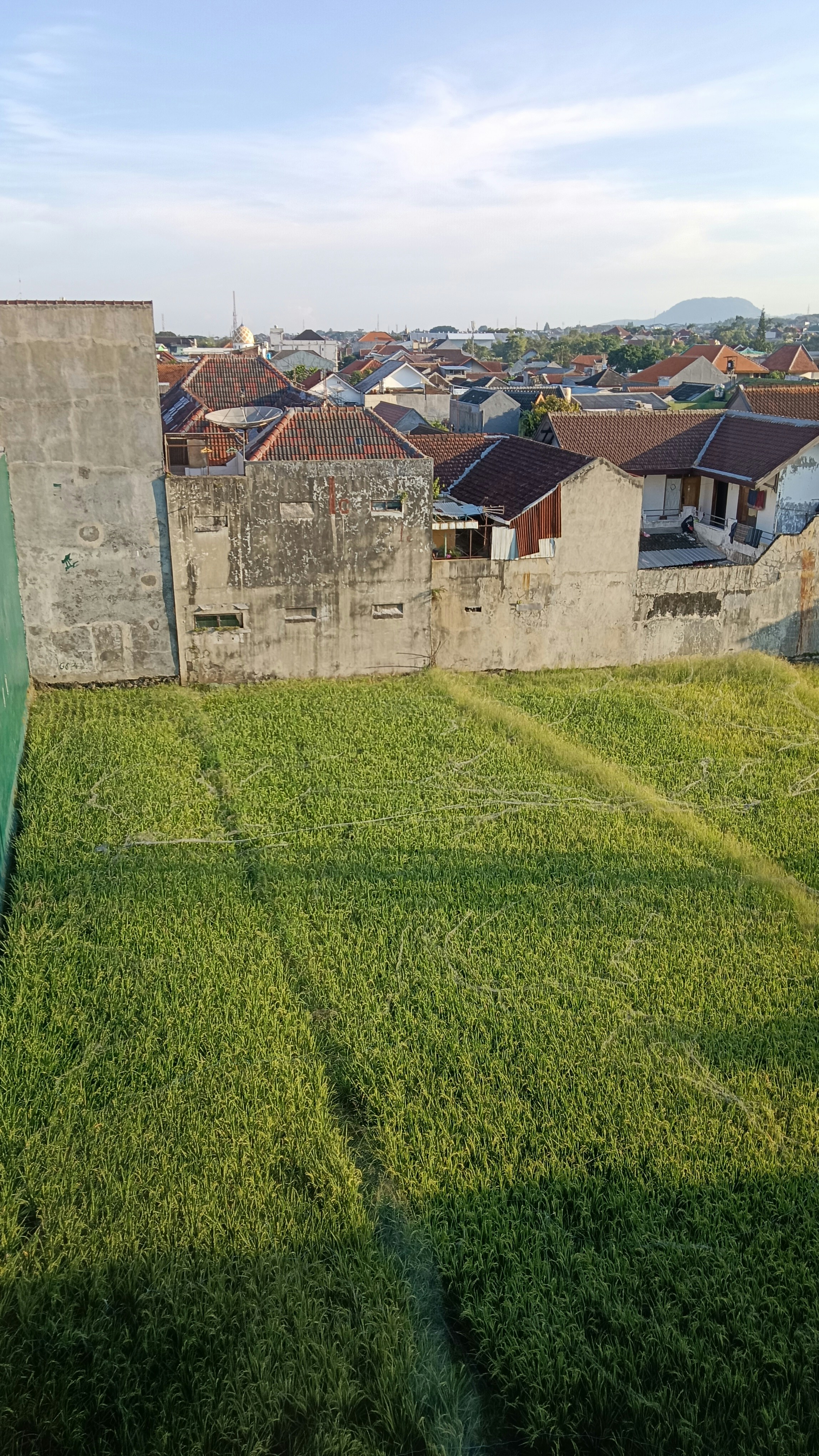 Aerial view of a weathered concrete wall with a dense cluster of red-tiled rooftops beyond and a lush green field in the foreground. The scene captures a quiet townscape under a clear sky.