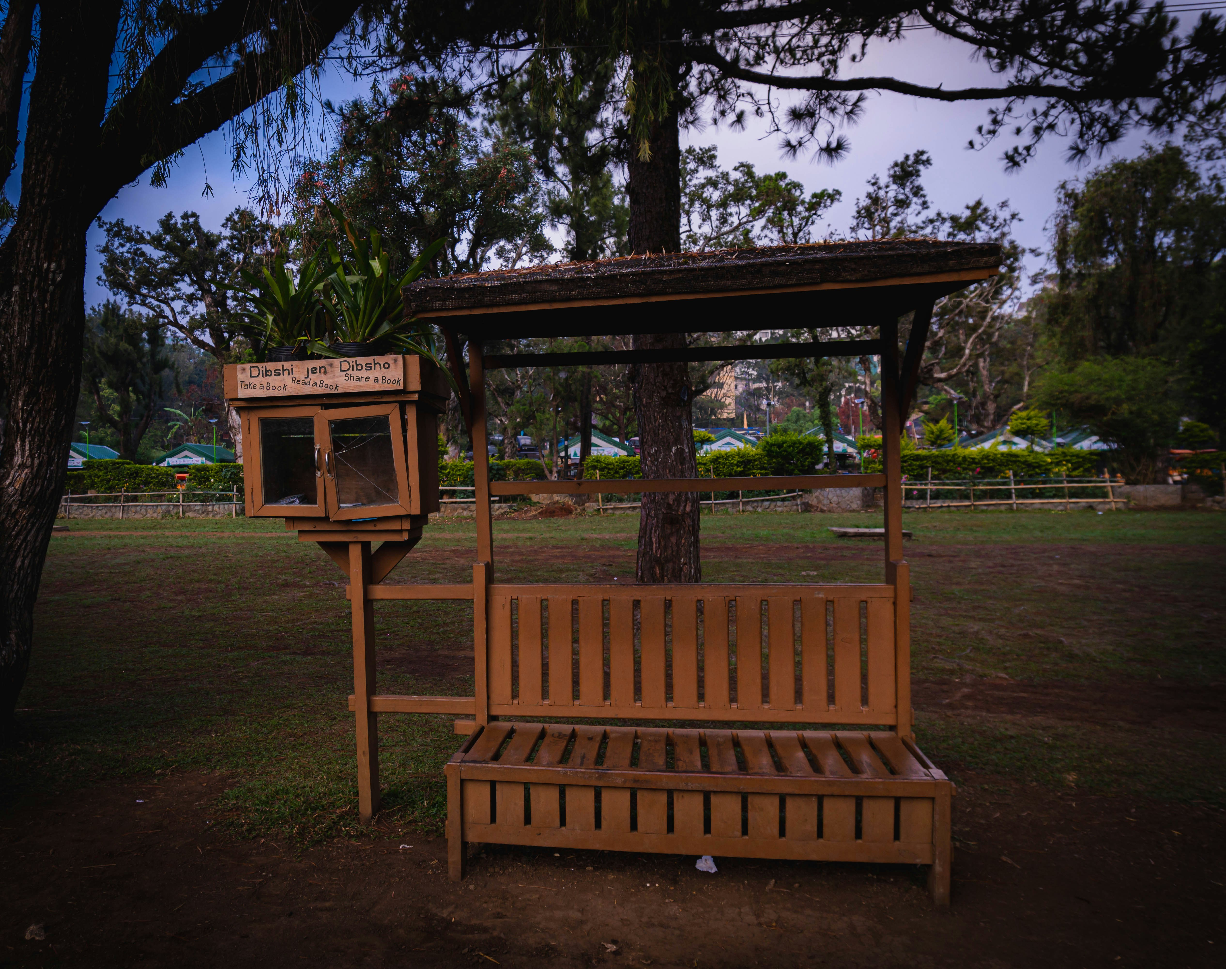 Dusky Park Shelter: A Wooden Bench, Tiny Mailbox, and Quiet Trees