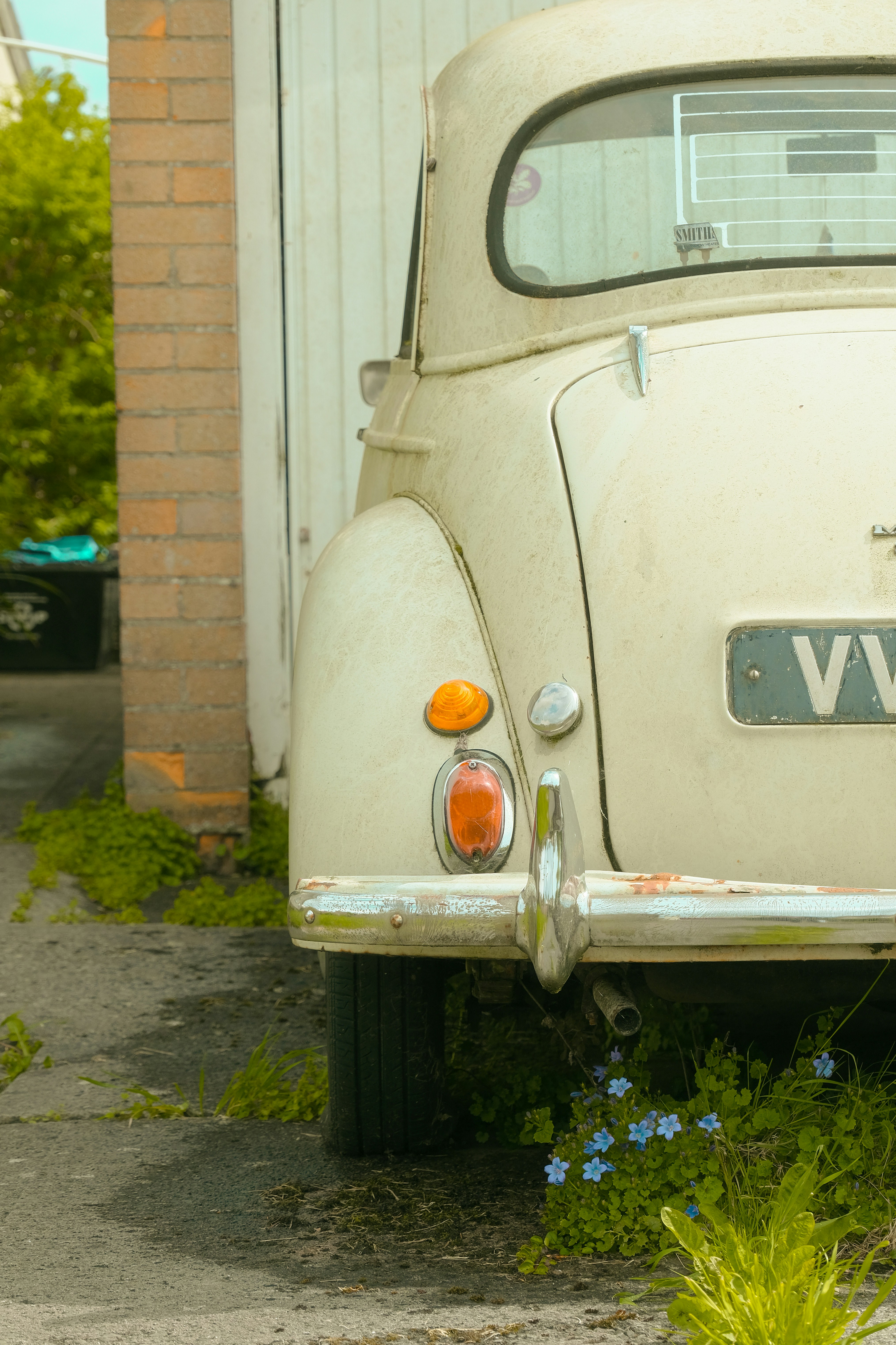 Classic white car parked beside a weathered wall, surrounded by vibrant greenery and delicate blue flowers.
