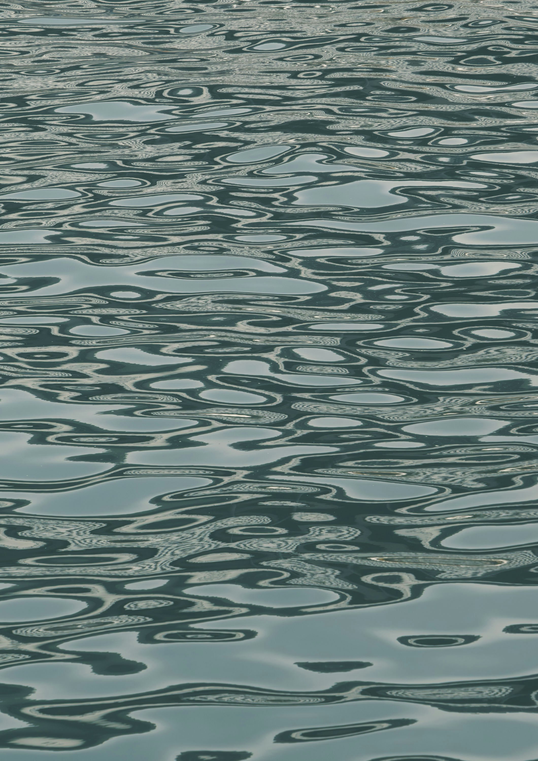 A large body of water filled with lots of water photo – Free Grey Image ...