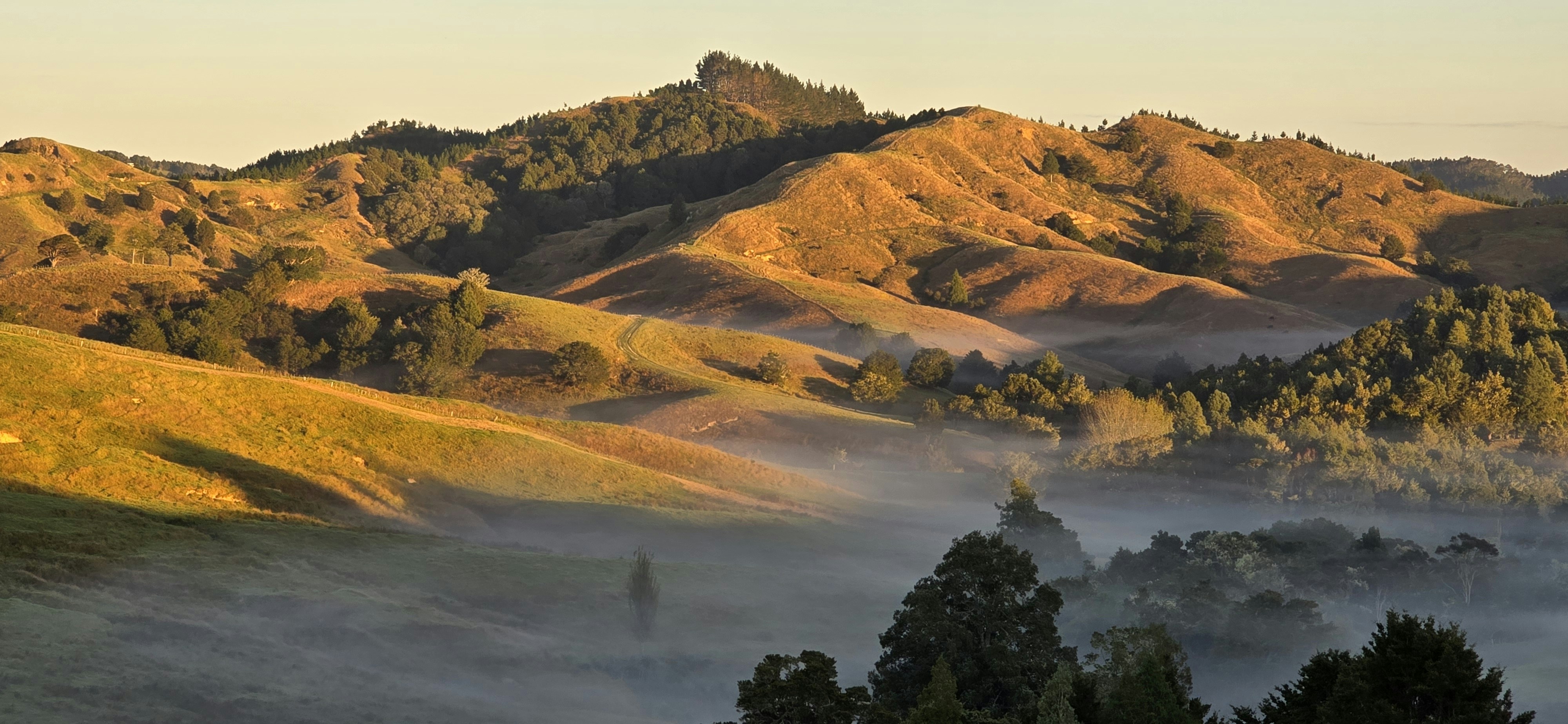 Dawn on the Mist-Wrapped Crest