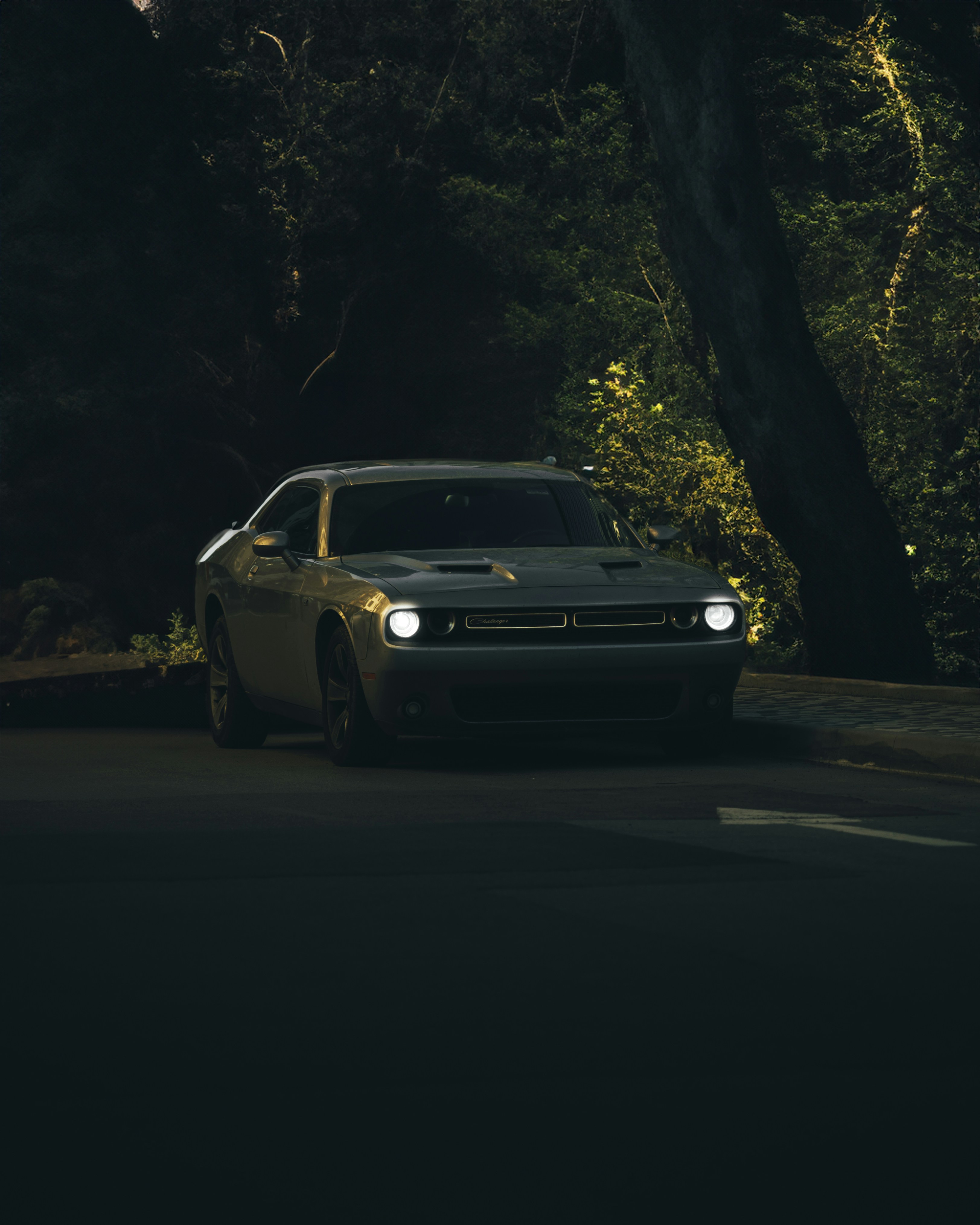 A white Dodge Challenger drives toward the camera on a dim, tree-lined road at night.