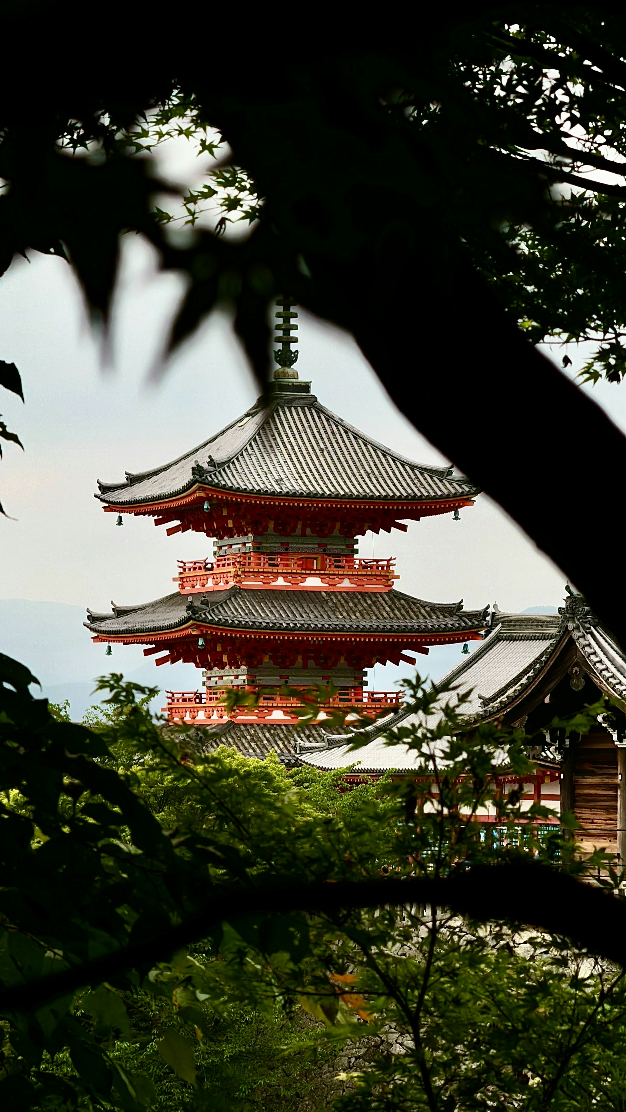 Whispers of Tradition: The Pagoda's Silent Watch
