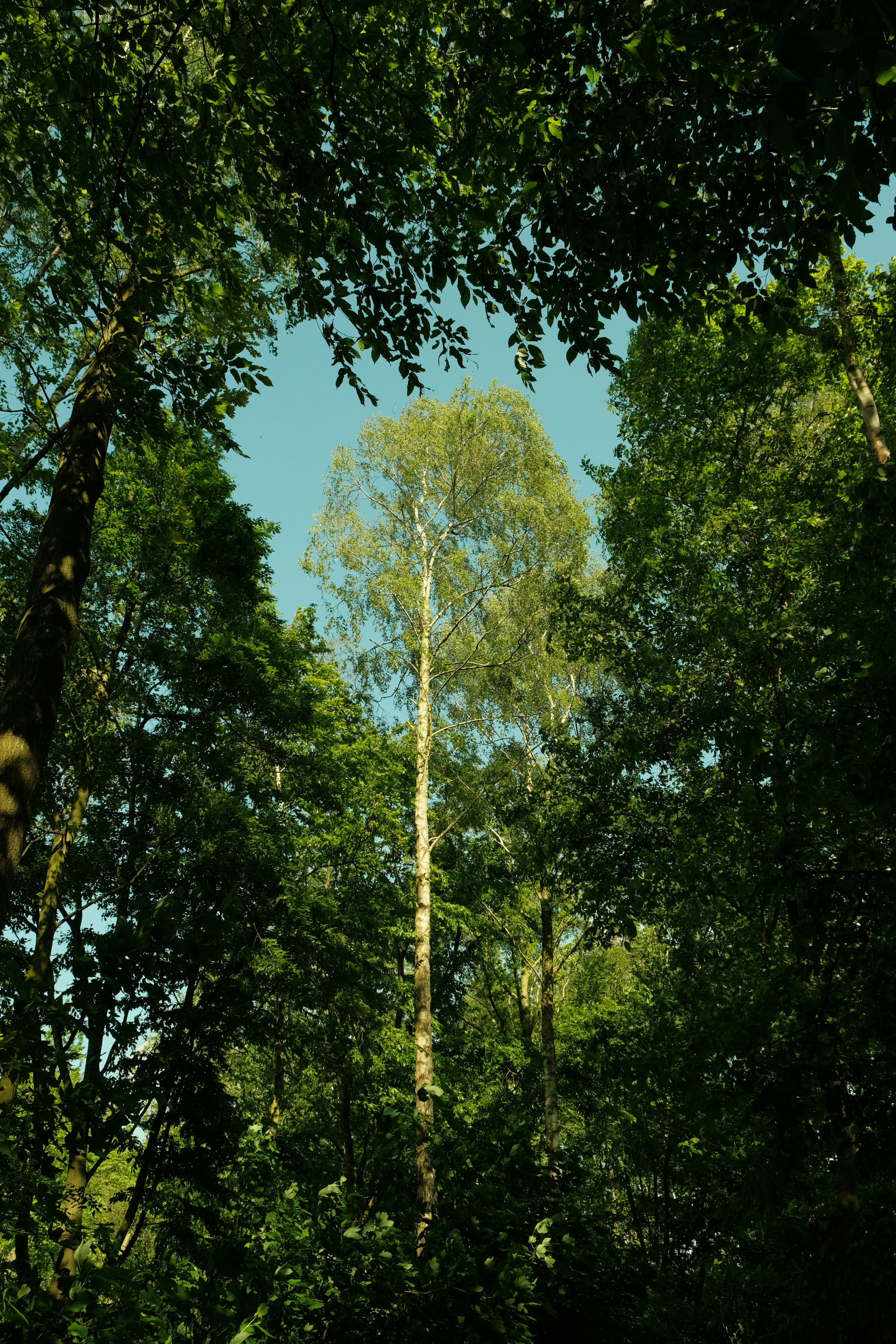 Photo by Kyan Tijhuis with Fujifilm X-T3