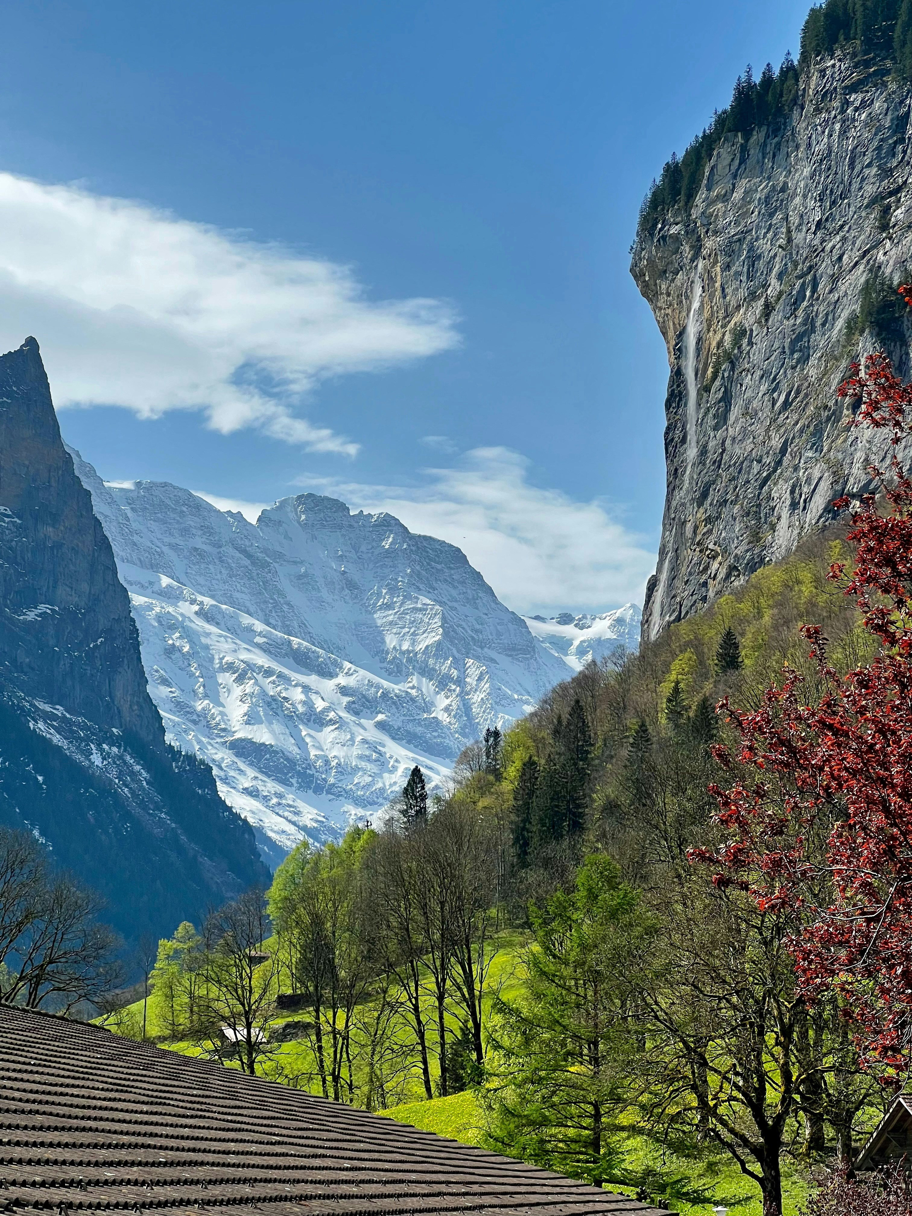 Mountain Serenity: A Glimpse into Alpine Majesty
