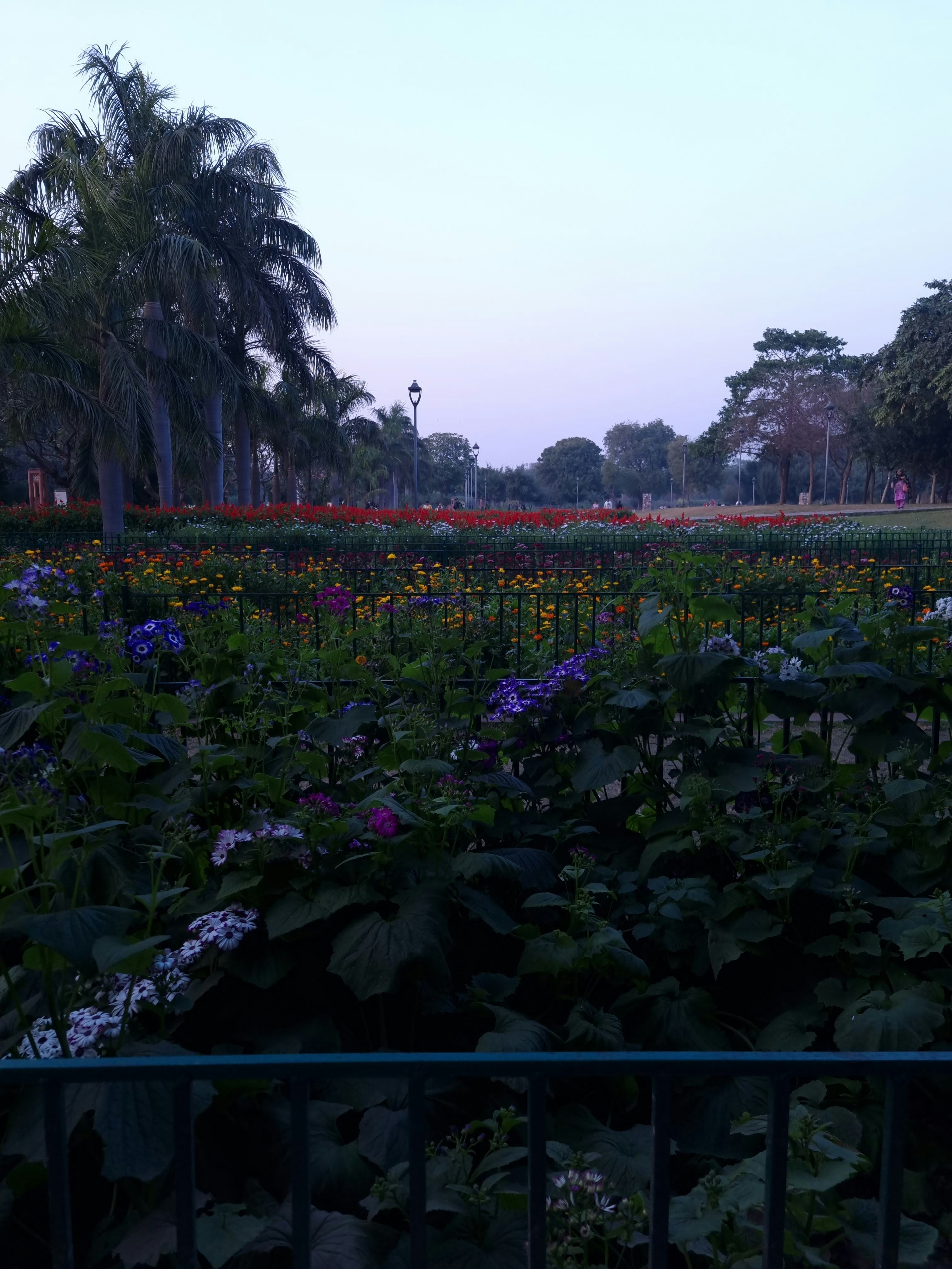 Twilight garden scene with layered flower beds and a lone lamppost framed by palm trees under a pale purple sky.