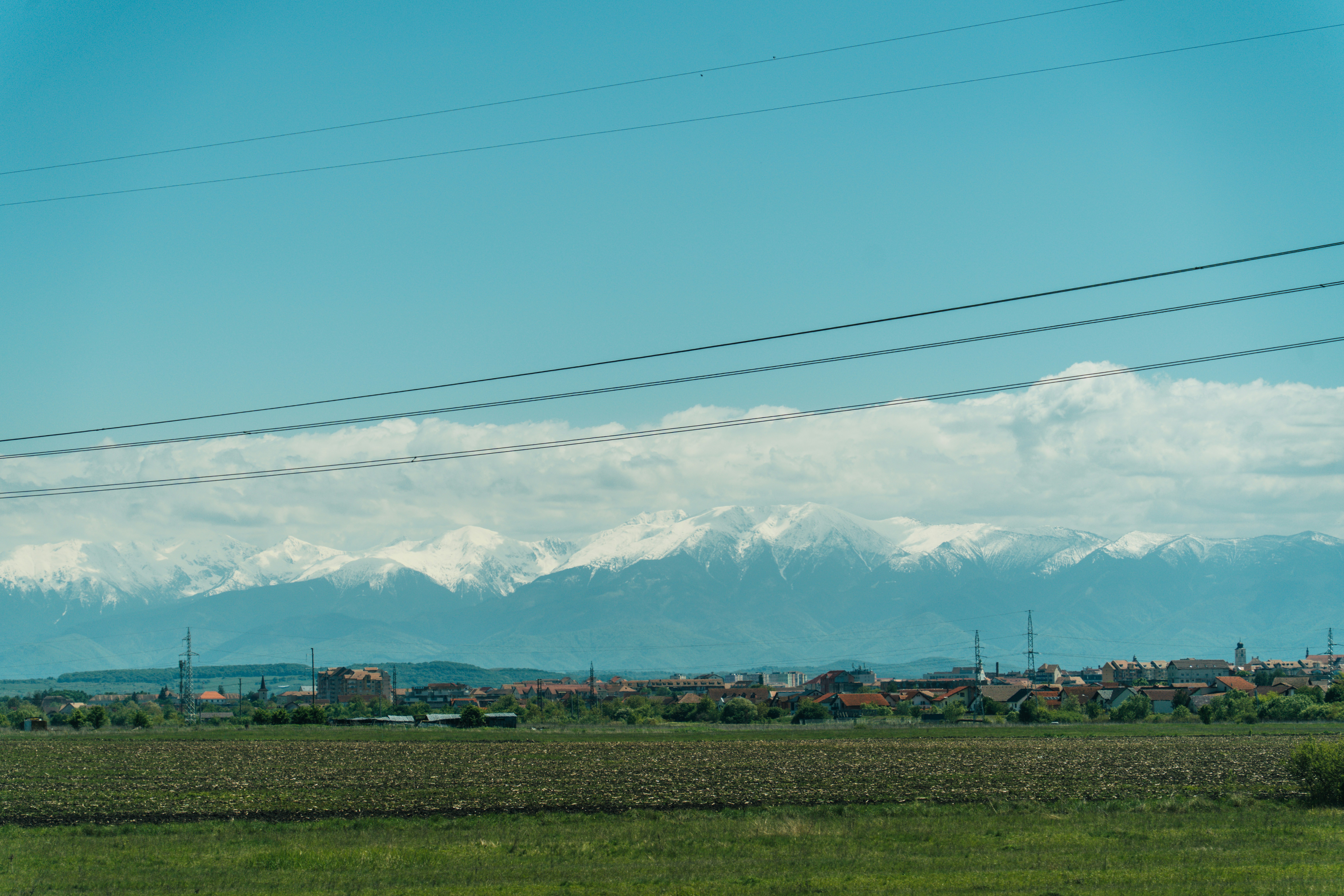 Photo by Maria Sime with Sony Alpha 7 IV