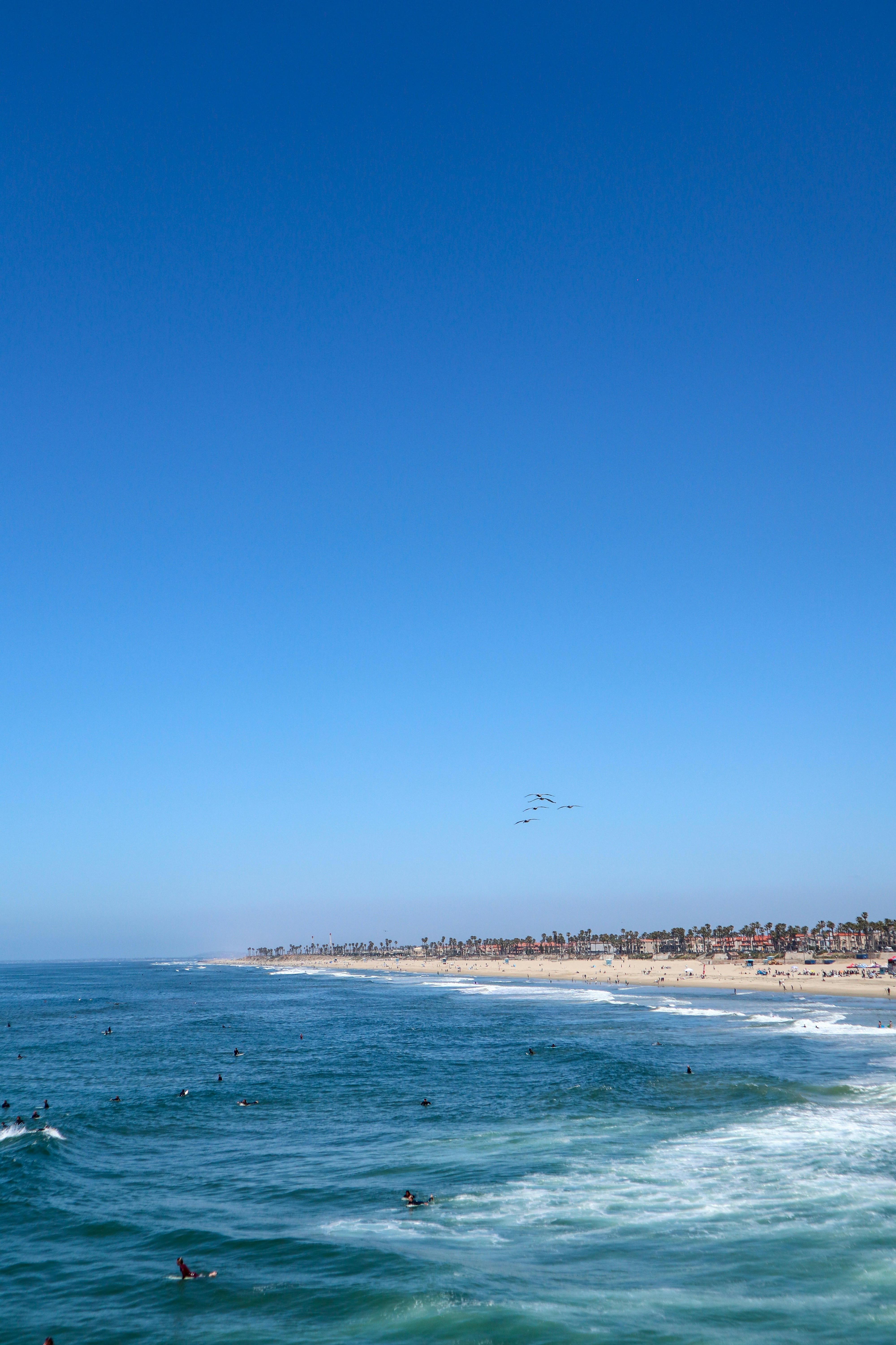 Foto Un grupo de personas nadando en el océano – Imagen Playa de ...