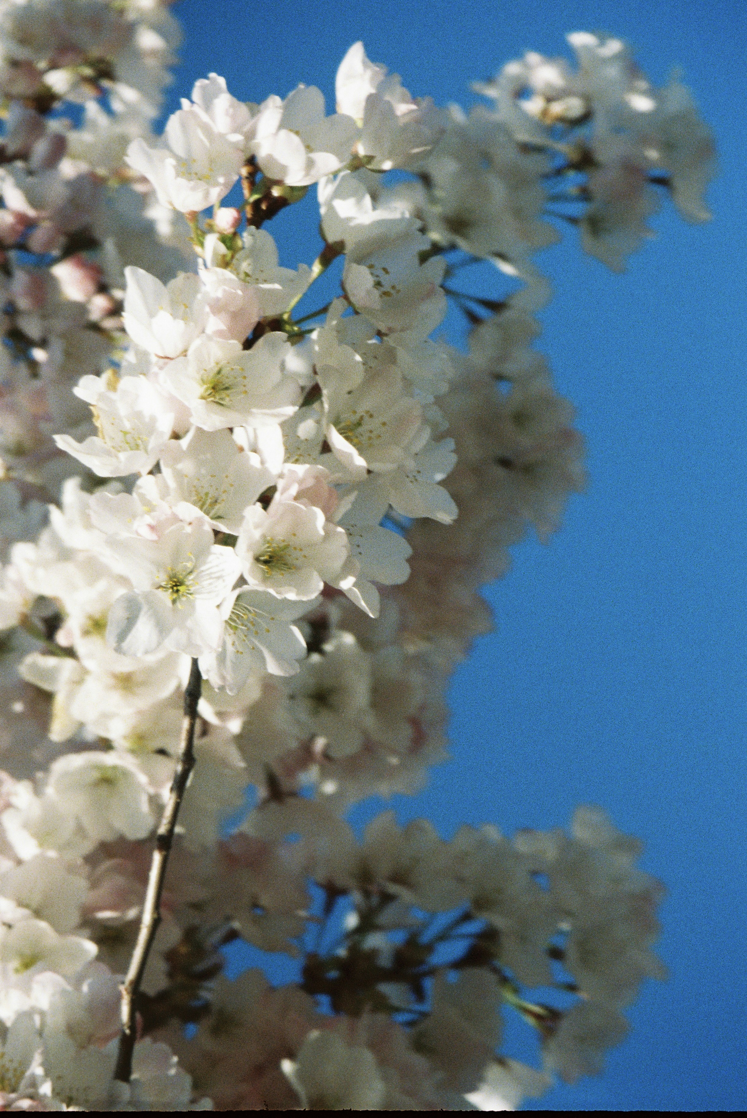 Paige Vondoersten (@paigevon) | Unsplash 사진 커뮤니티