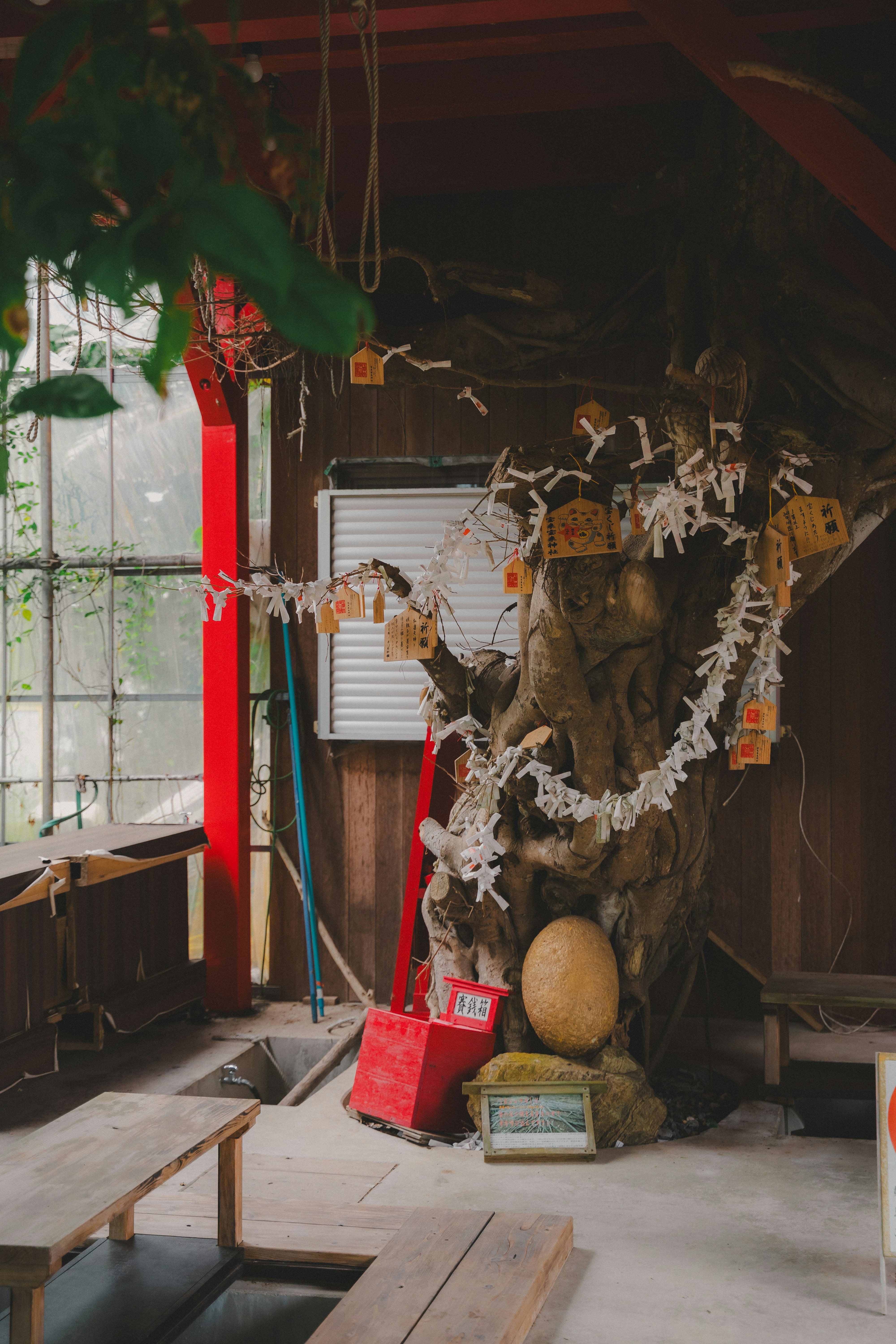 Shimenawa Sanctuary: A Sacred Tree Wrapped in Paper Strips Within a Quiet Shrine