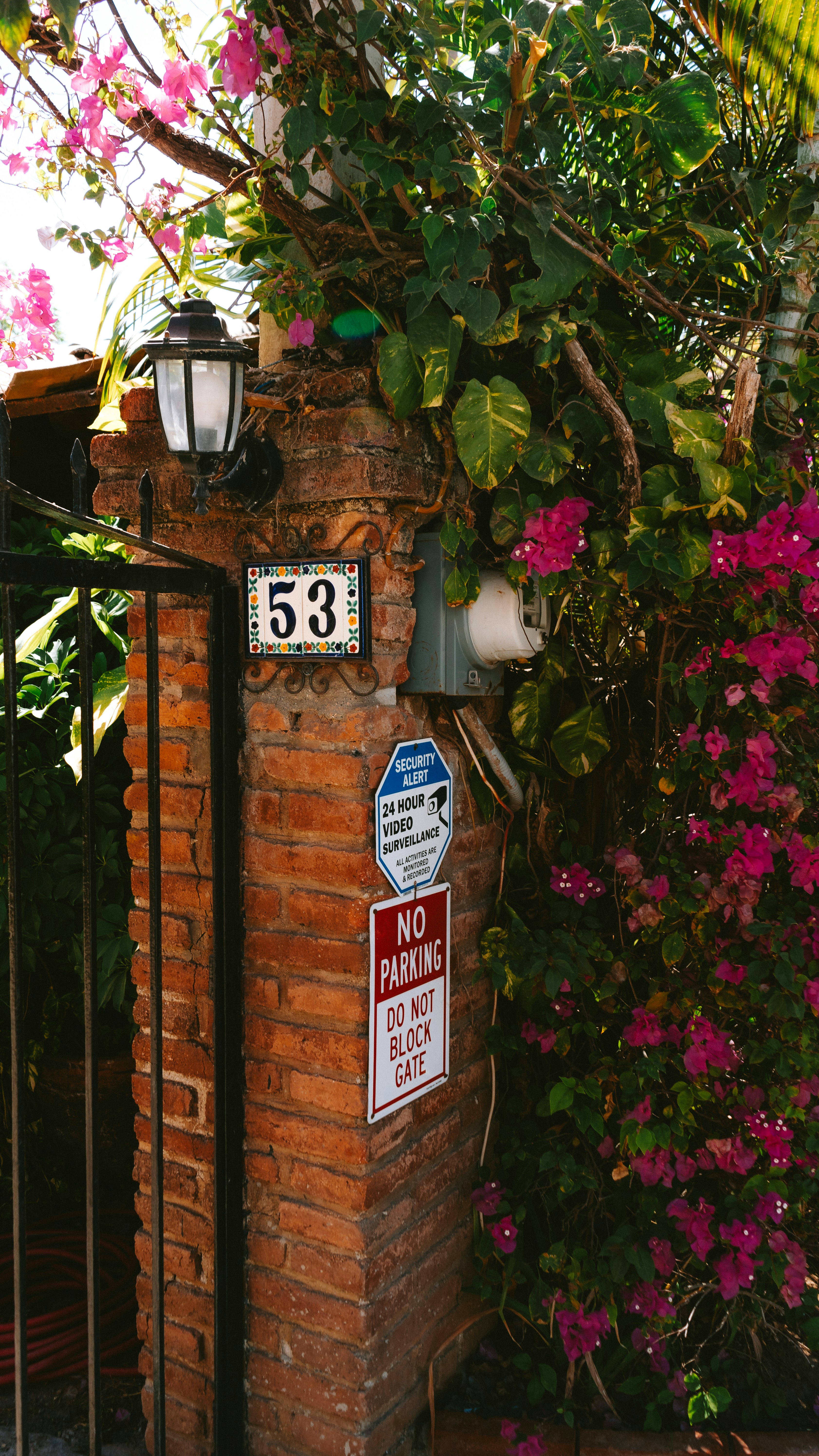 Brick Gate Bloom: The Number 53 Wreathed in Bougainvillea