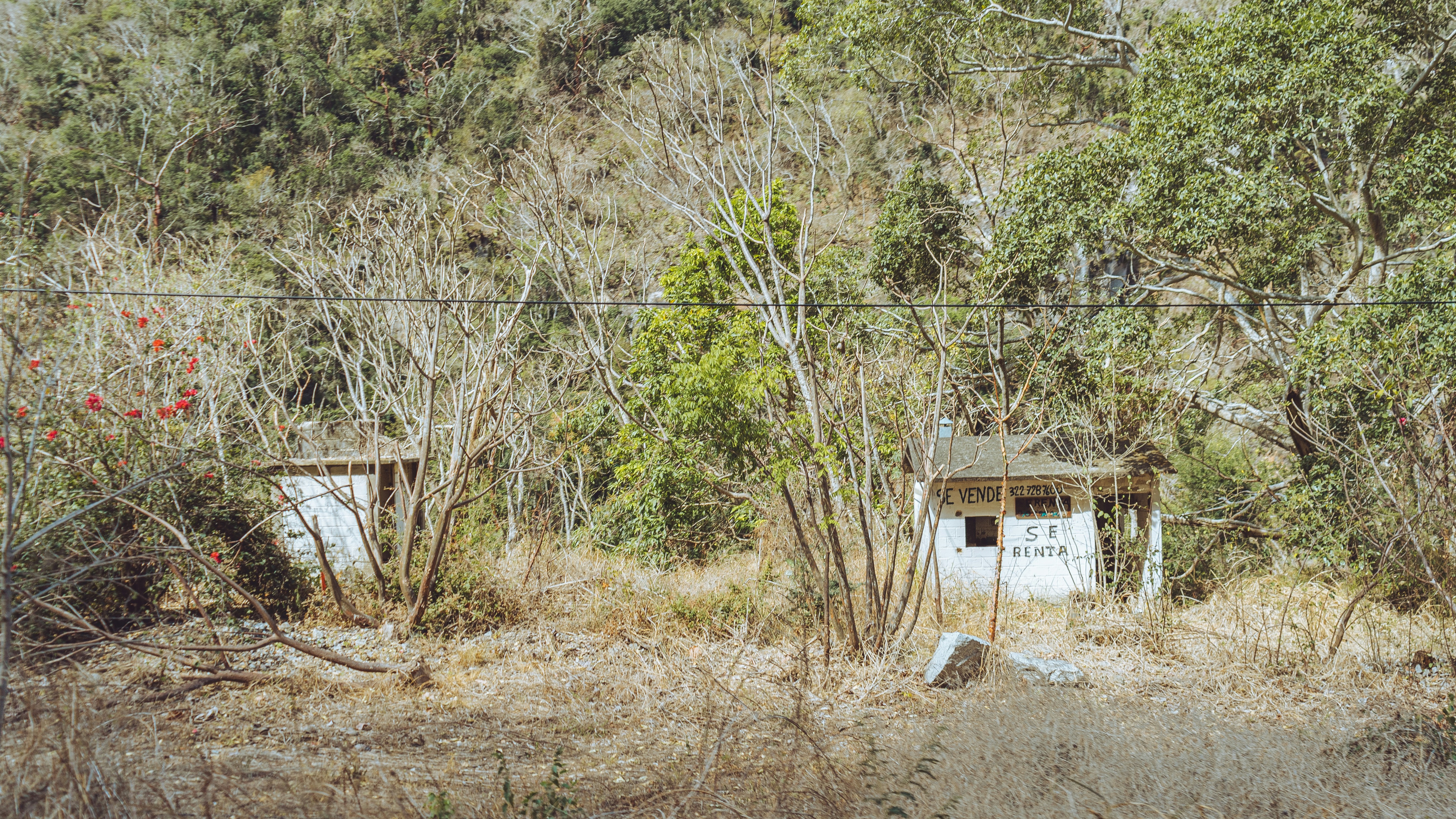 A small shack in the middle of a forest photo – Free House Image on ...