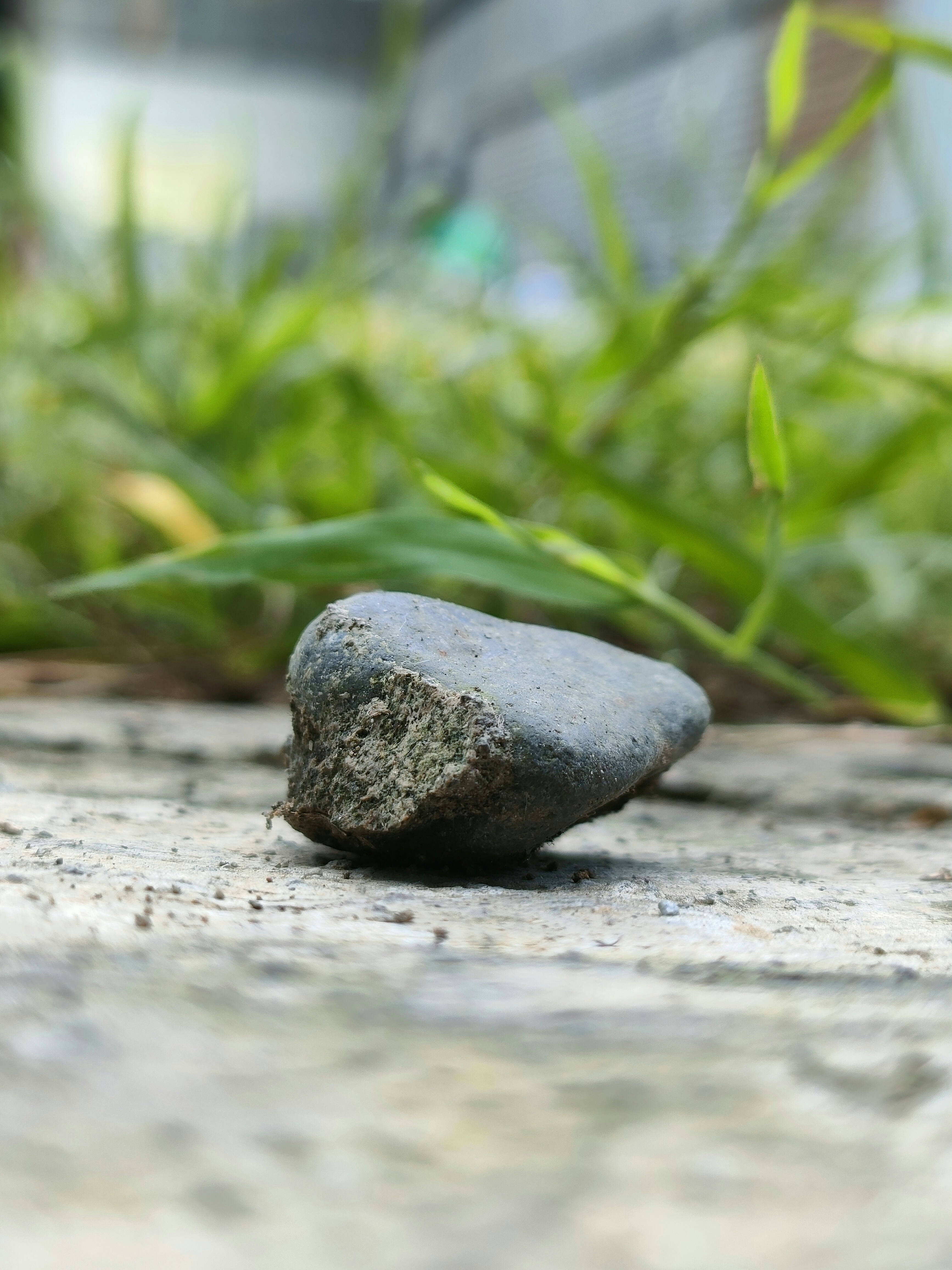 A textured stone rests on a concrete surface, surrounded by vibrant green grass. The focus highlights the stone's rugged features against a blurred natural backdrop.